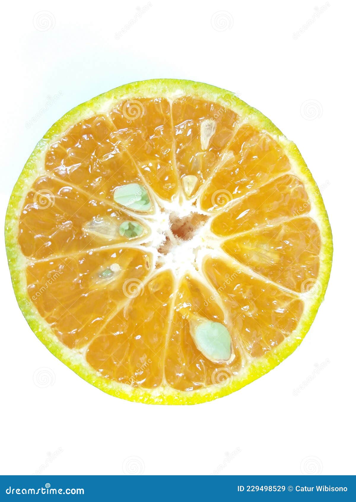 Pieces of Orange Fruit, the Outer Skin is Green and the Inside is ...