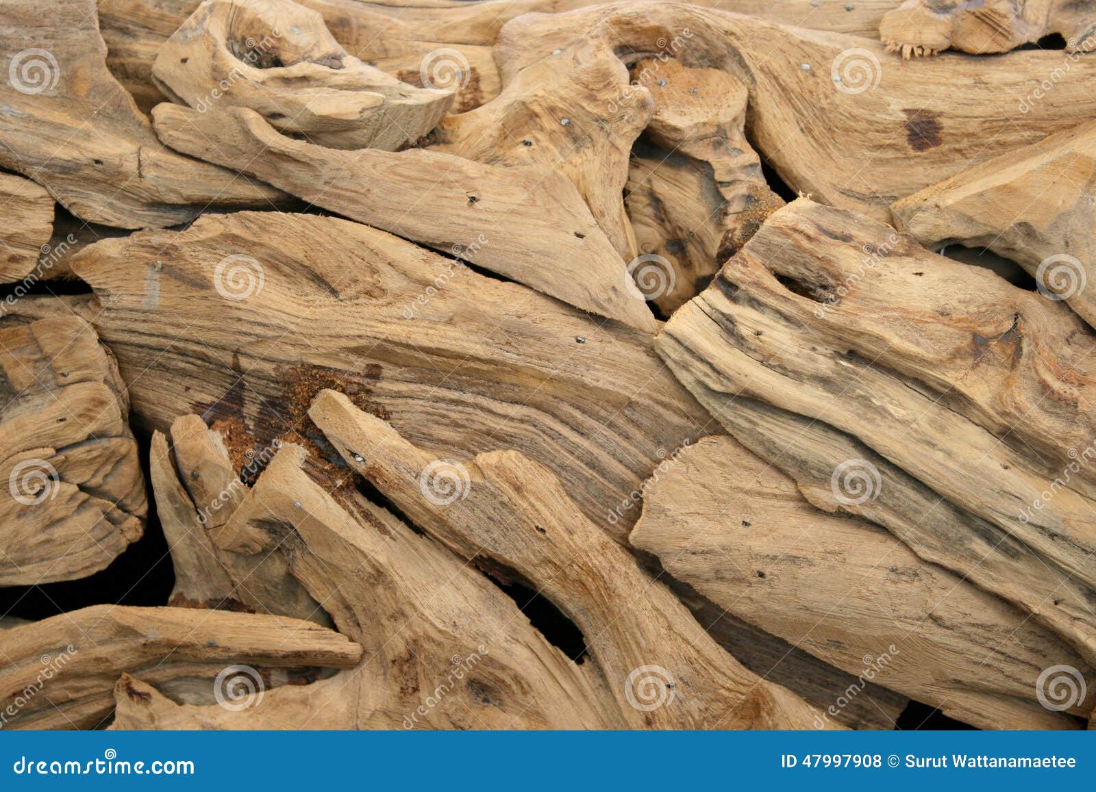 Pieces of Ornamental Dried Wood Stock Photo - Image of ornamental ...