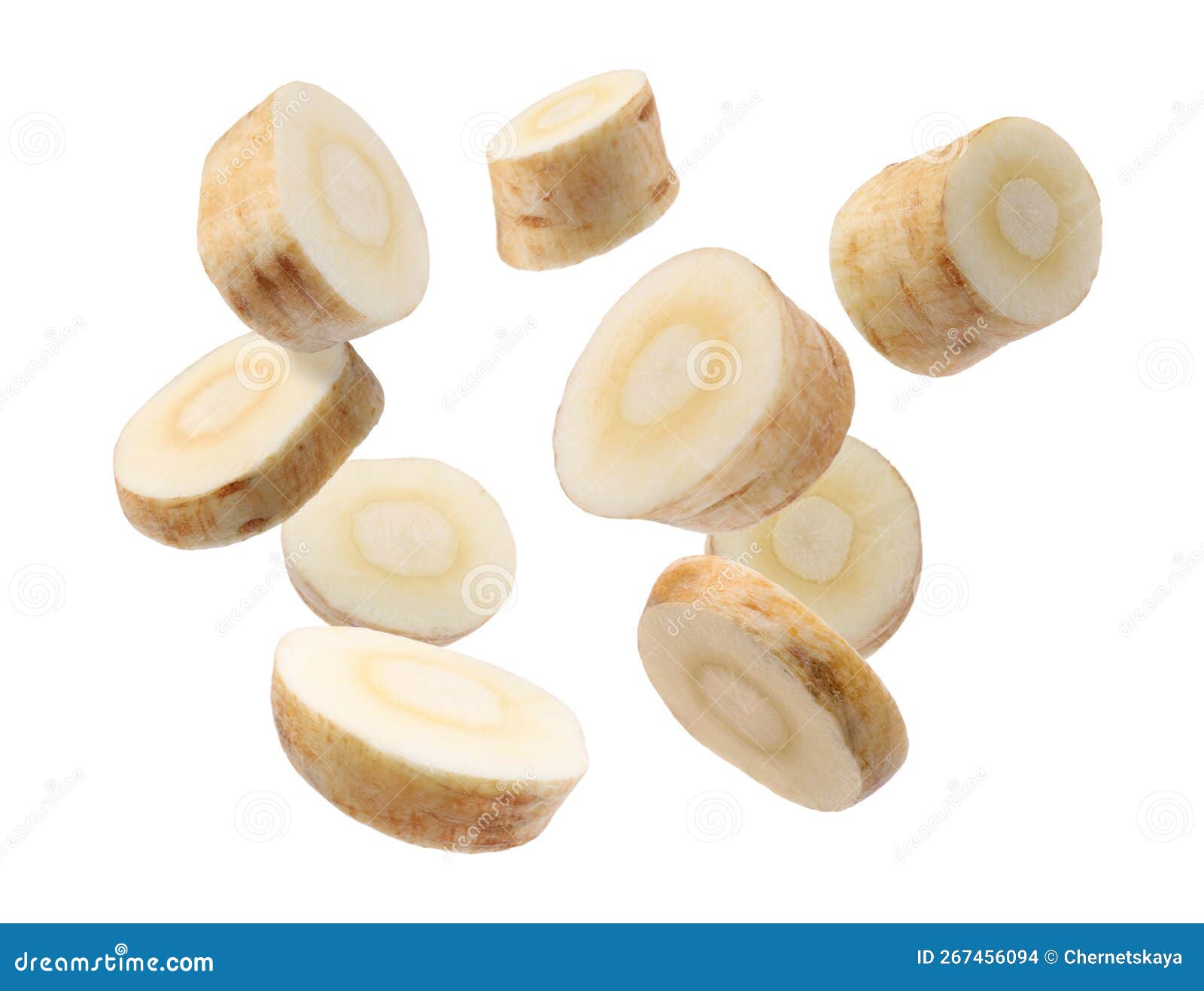 Parsnip Root With Leaf Stock Photography | CartoonDealer.com #105294740