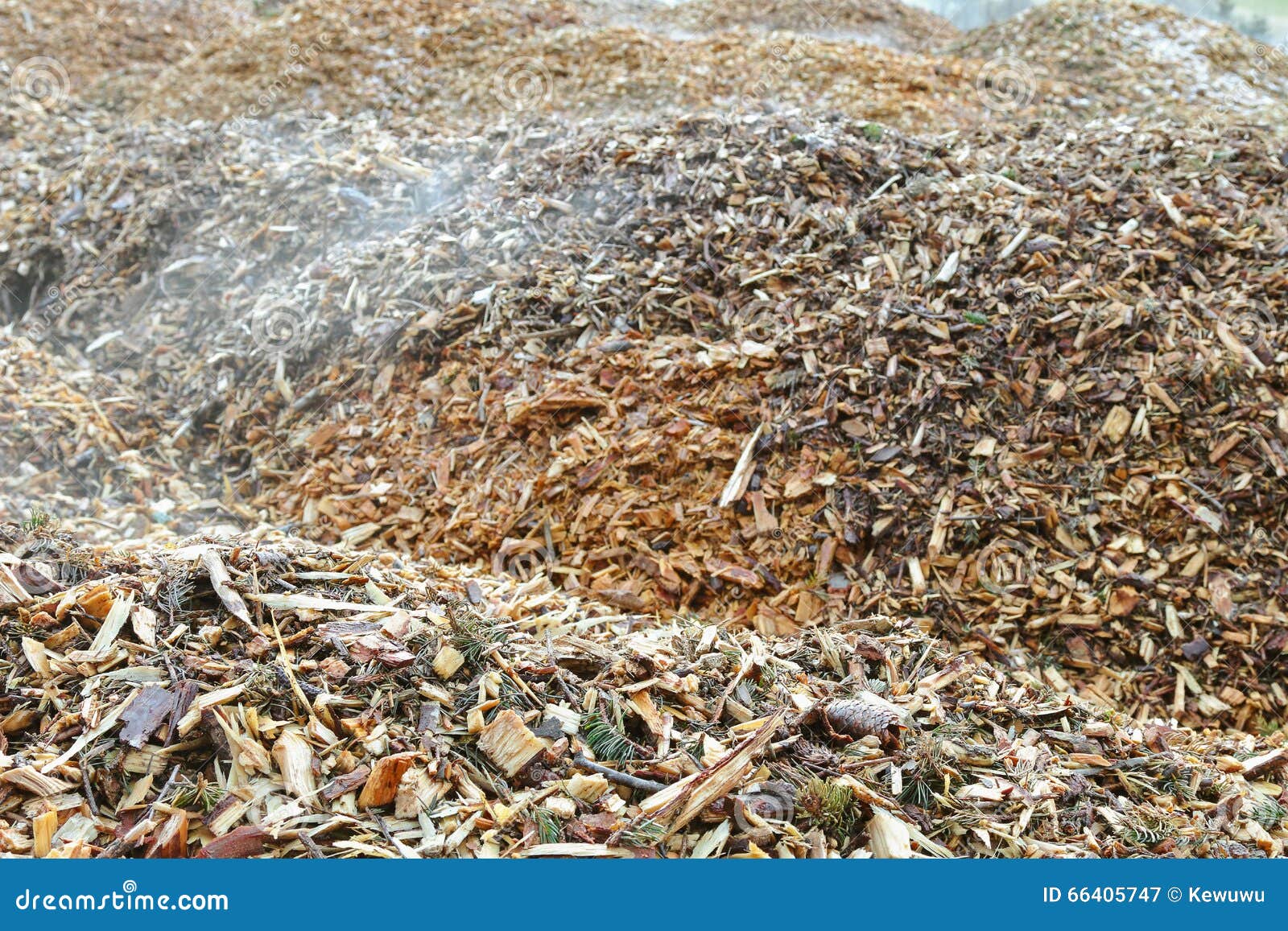 Pieces of Pine Tree Chips Burned To Generate Heat for District H Stock ...