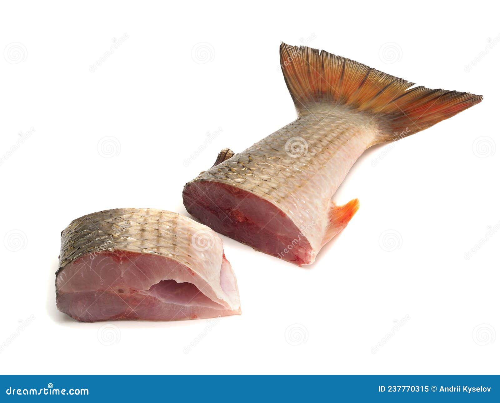 Pieces of Red-finned Mullet Isolated on a White Background Stock Image ...