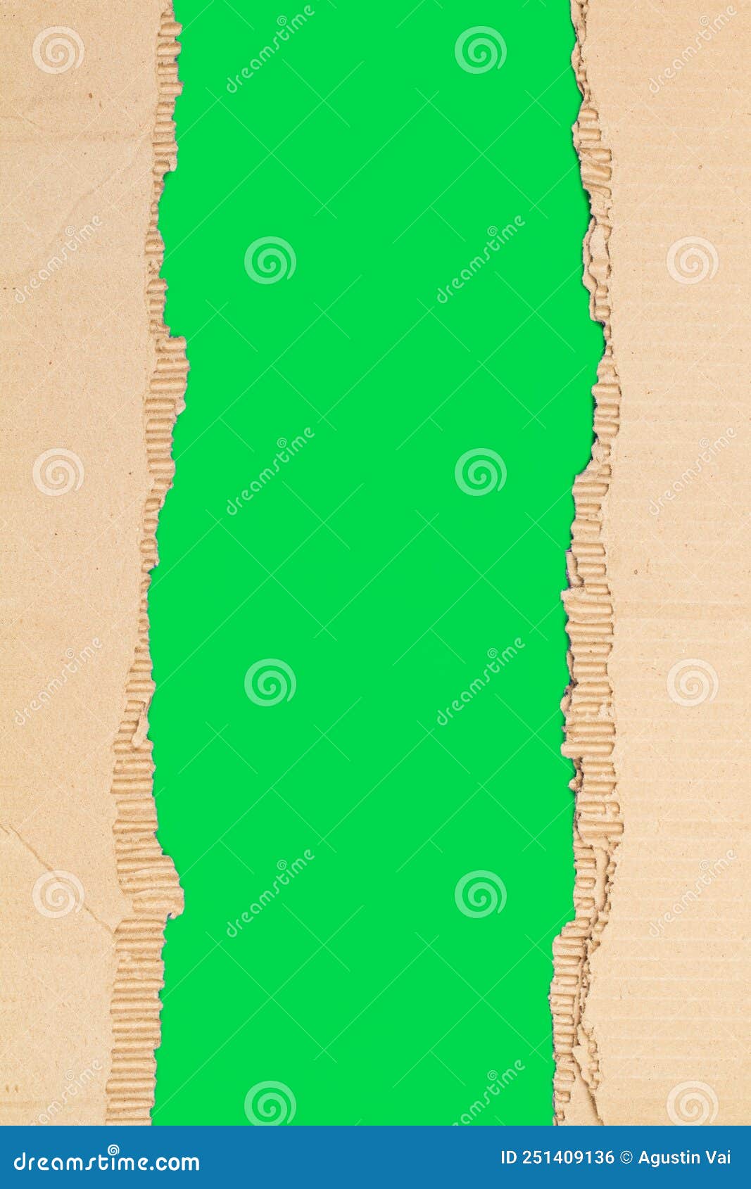 Pieces of Ripped Cardboard on a Green Background Stock Photo - Image of ...