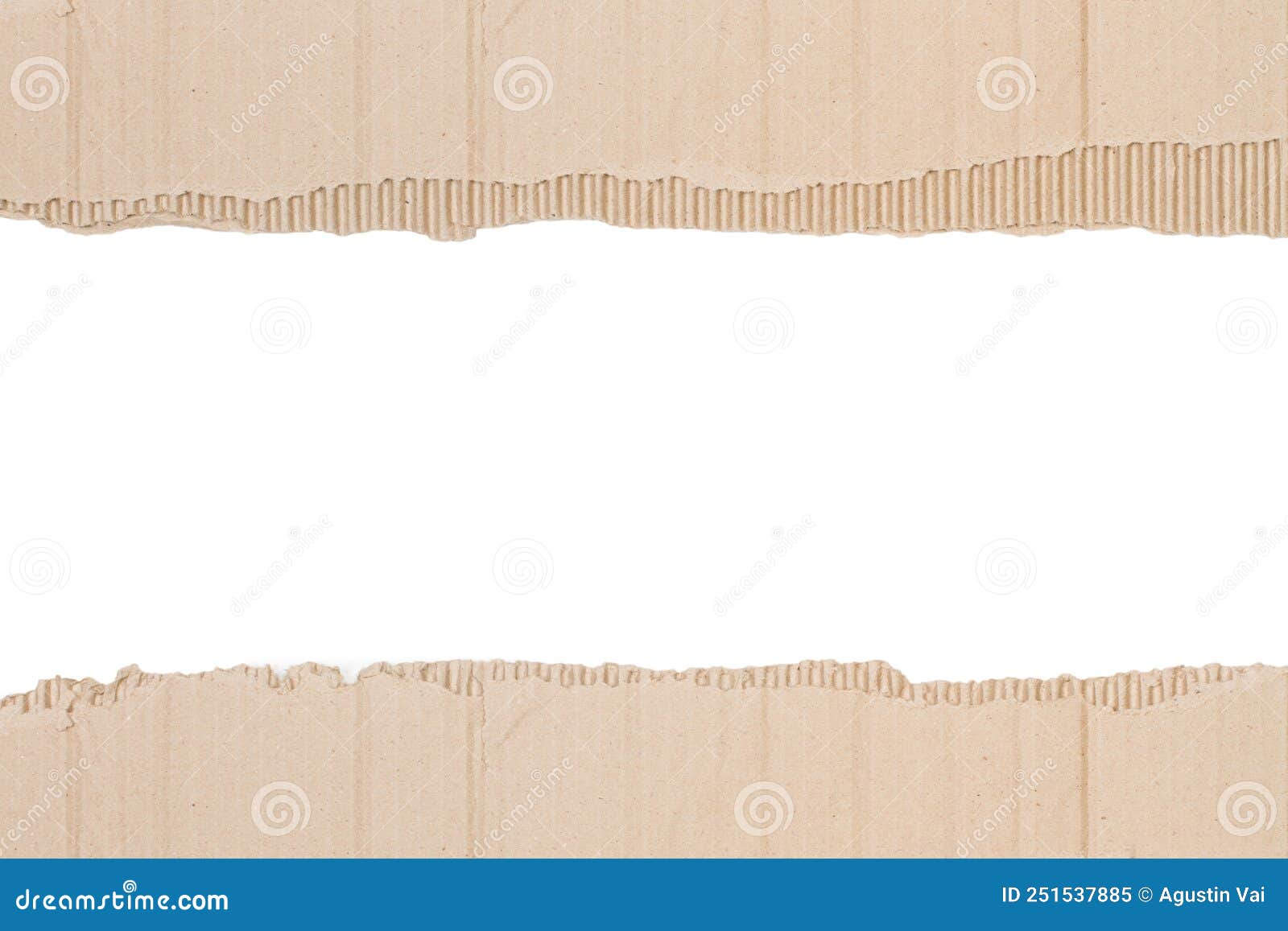Pieces of Ripped Cardboard on a White Background Stock Image - Image of ...