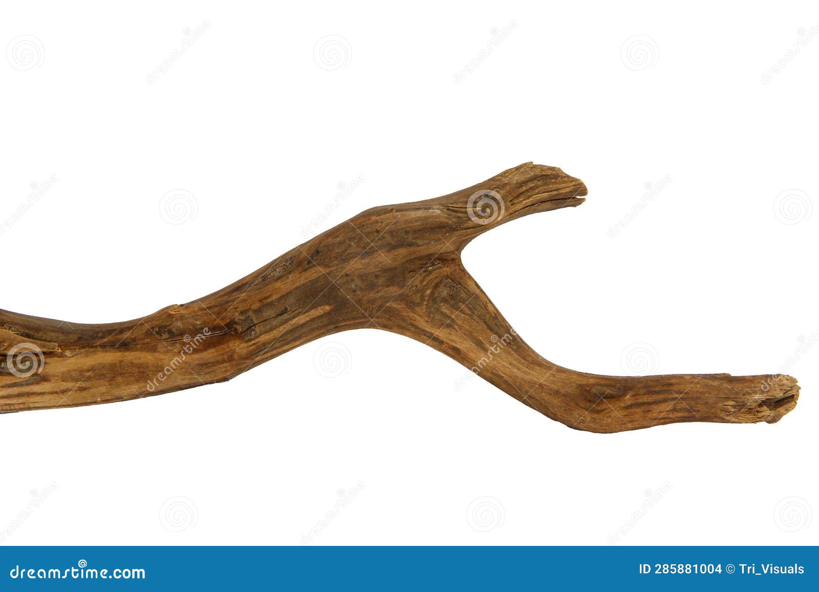 Pieces of River Brown Driftwood Isolated on White Background with ...