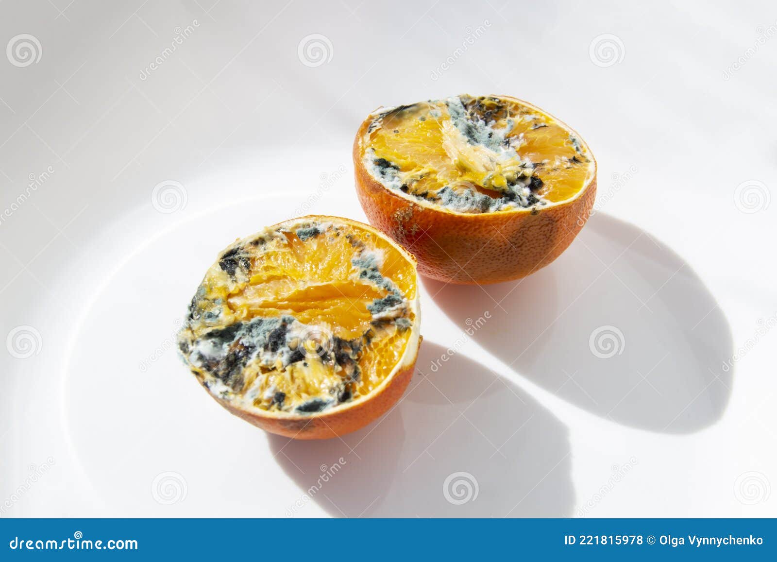 Pieces of Rotting Orange Close Up Against Background Stock Photo ...