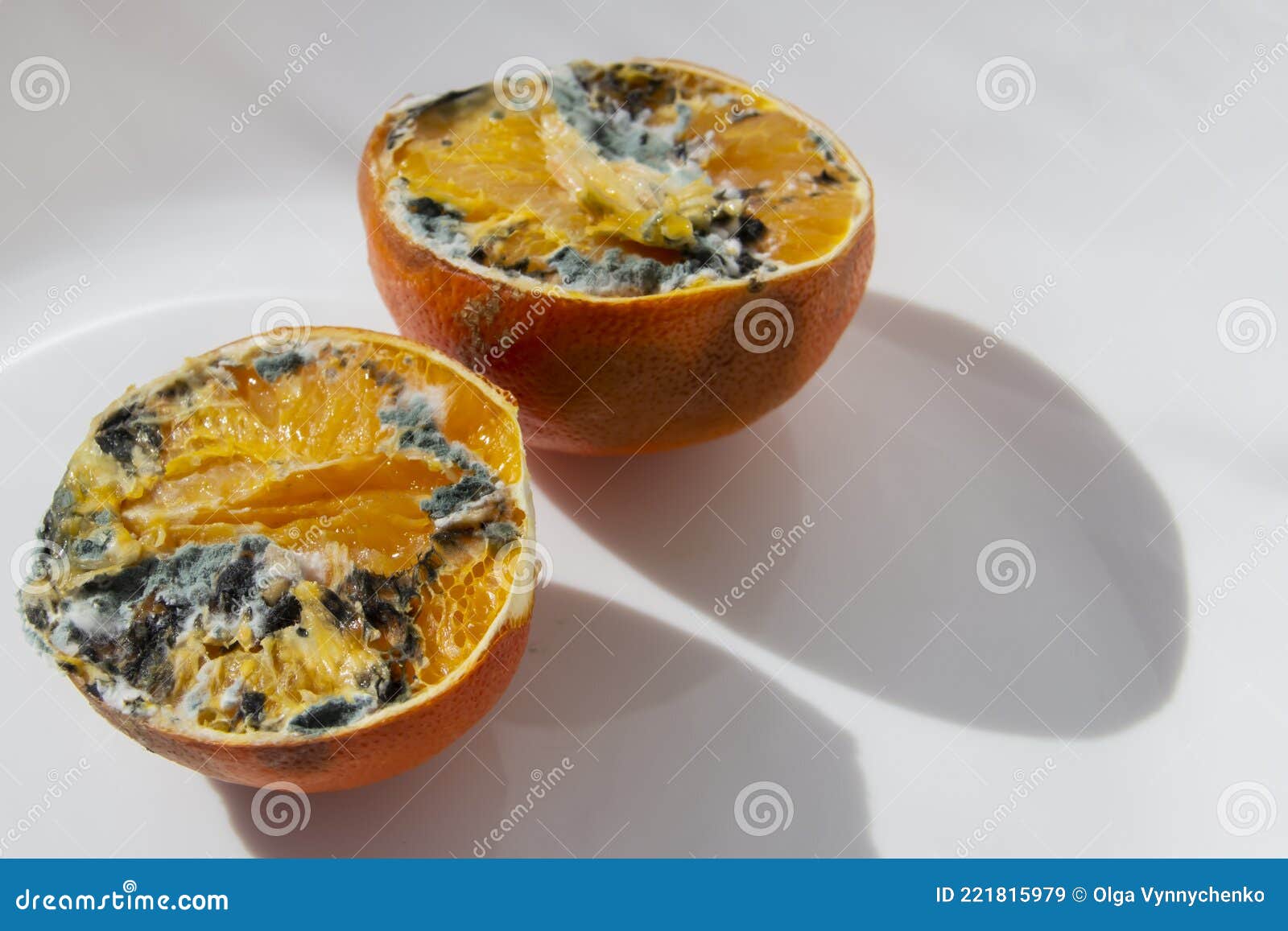 Pieces of Rotting Orange Close Up Against Background Stock Image ...