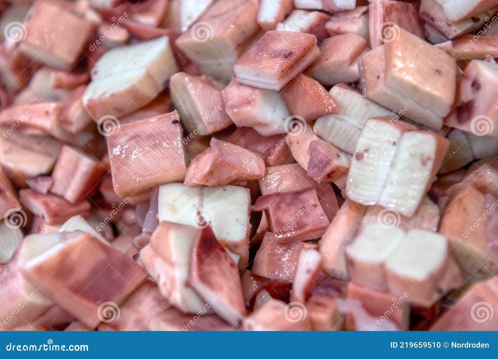Pieces of Sea Cuttlefish Squid Cut into Cubes. Ready-made Ingredients ...