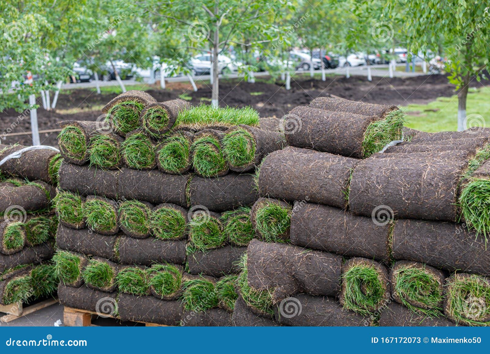 Pieces of Sod Covering Dirt To Make Lawn. Stack of Turf Grass Rolls for ...