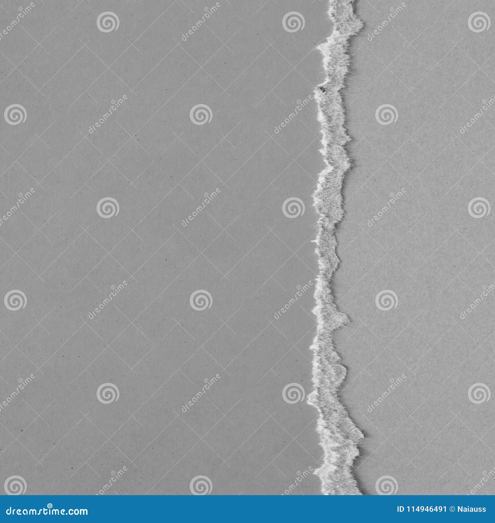 Torn rip paper stock image. Image of memo, graphic, notepaper - 114946491
