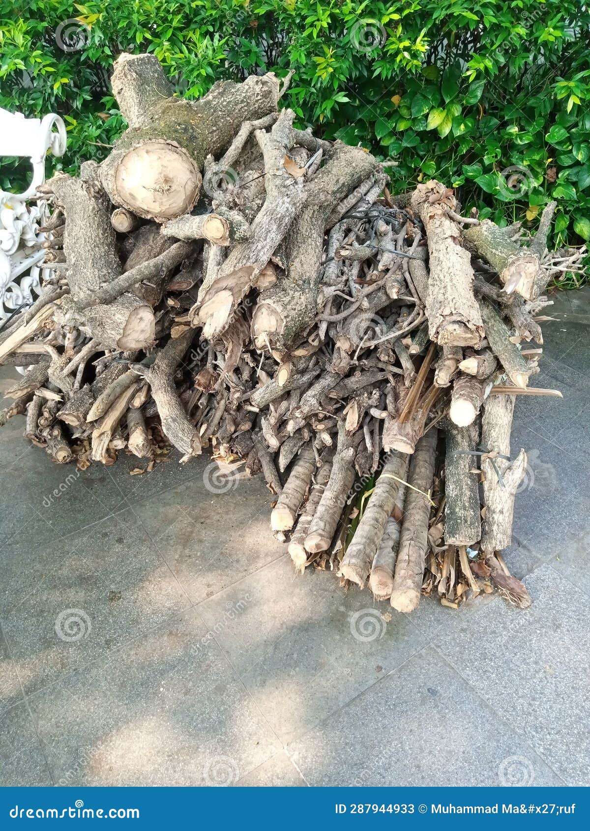 Pieces of Tree Trunks for Traditional Stove Fuel Stock Image - Image of ...