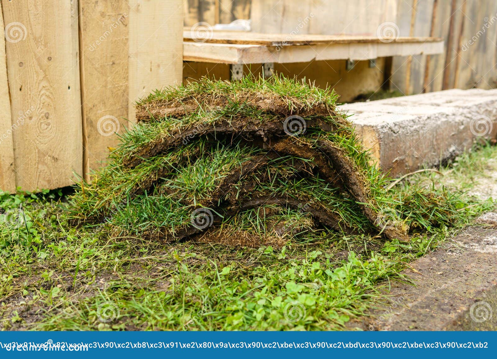 Pieces of Turf on the Background of Wooden Structures Stock Photo ...