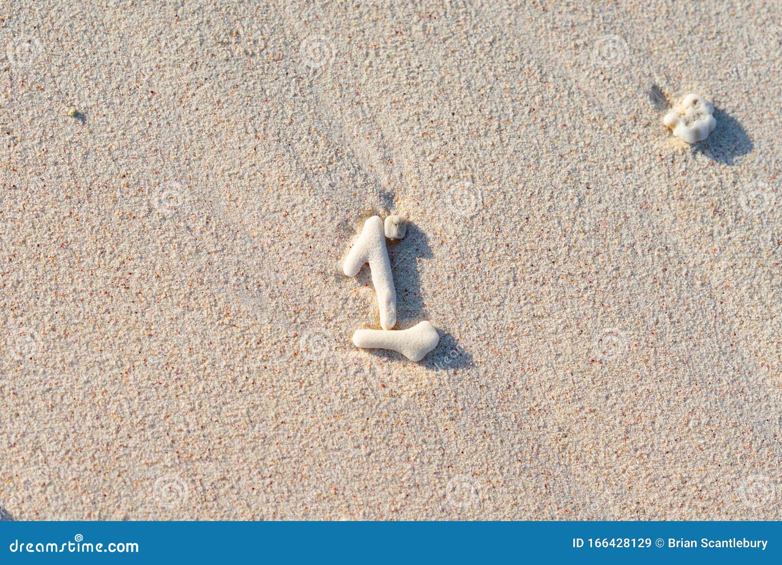 Pieces White Coral Washed Up on Beach Forming Number 1 Stock Image ...