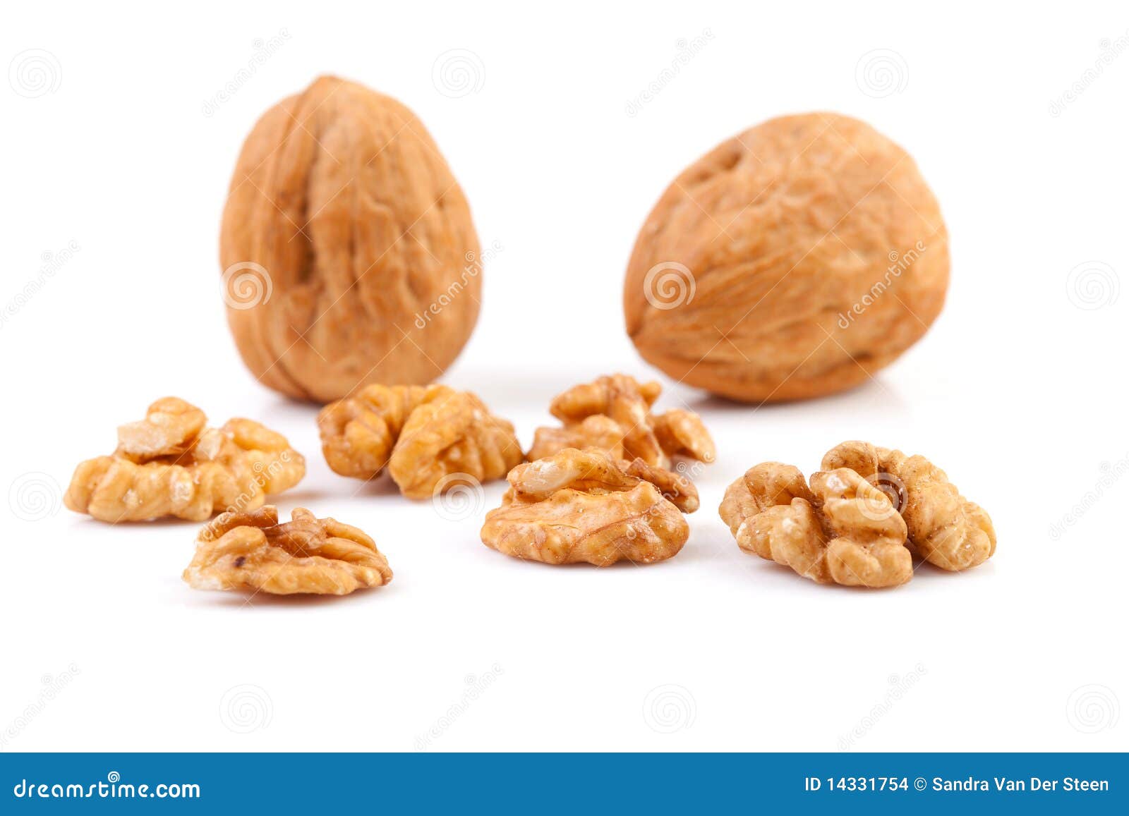Whole Walnut Isolated On White Background Royalty-Free Stock Image ...