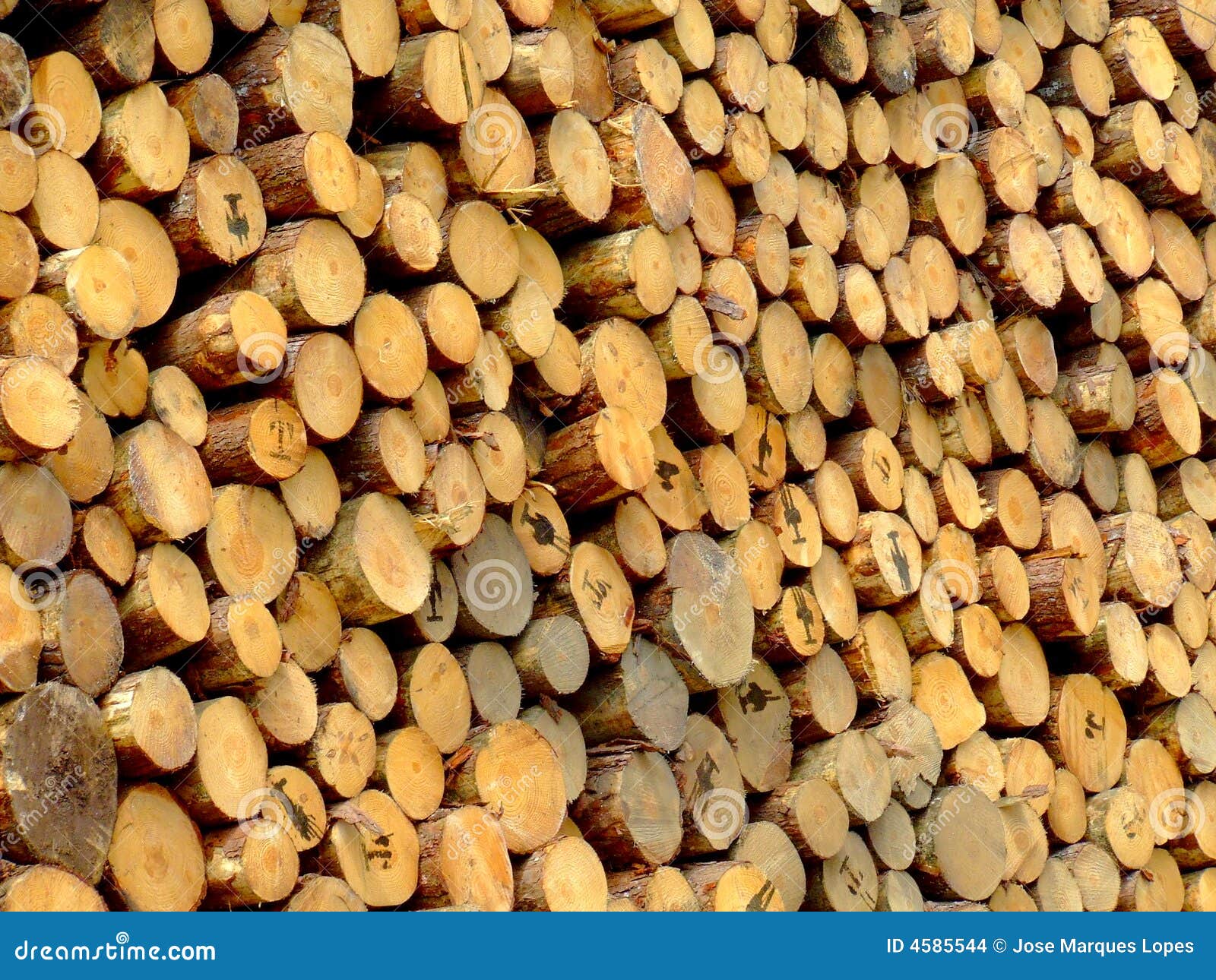 Pieces Of Wood Picture. Image: 4585544