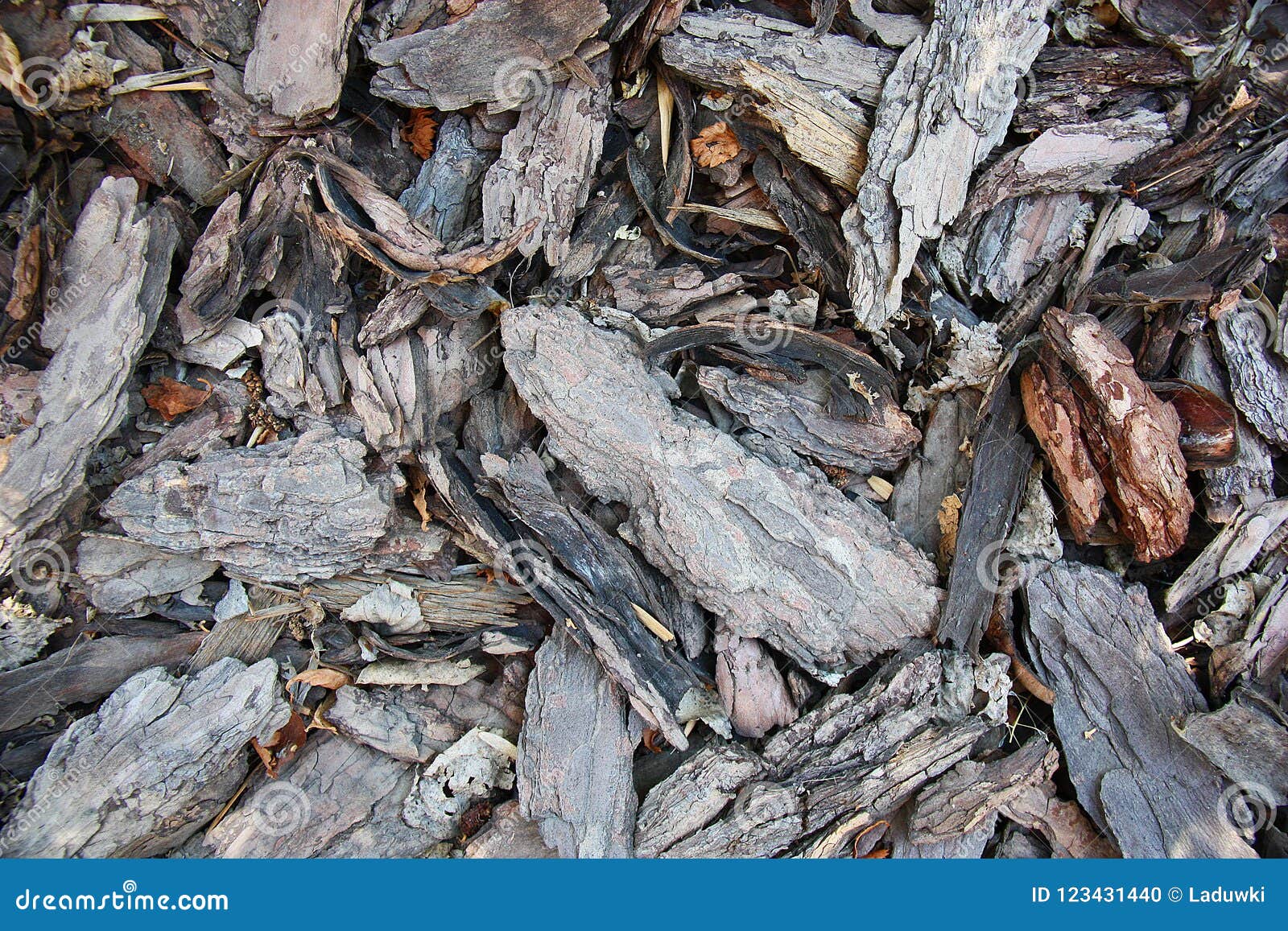 Pieces of Wood Bark Texture for Background Stock Photo - Image of ...