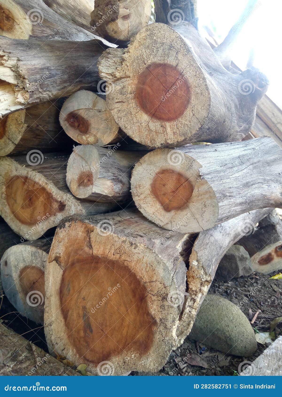 Pieces of Wood with Different Sizes, Small and Large Stock Image ...