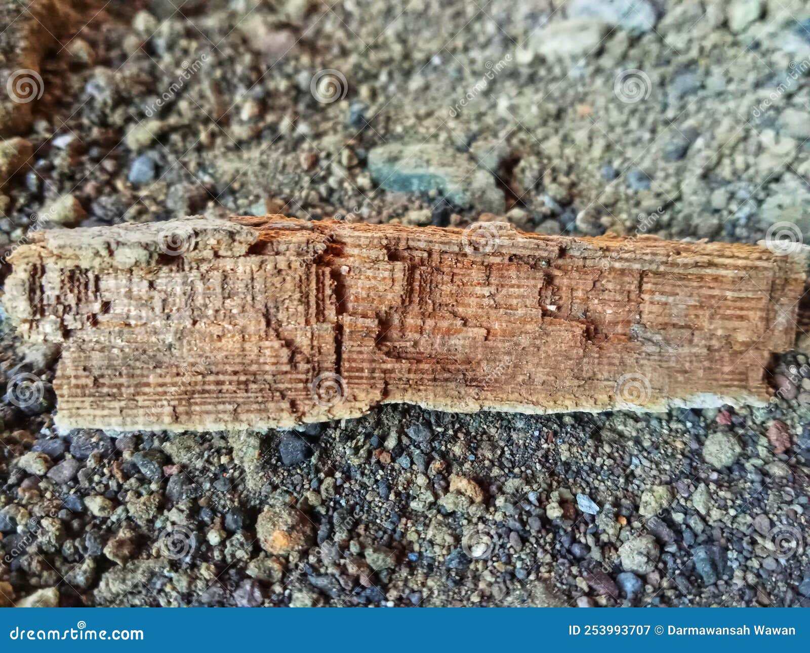 Pieces of Wood on the Ground Stock Image - Image of wood, ground: 253993707