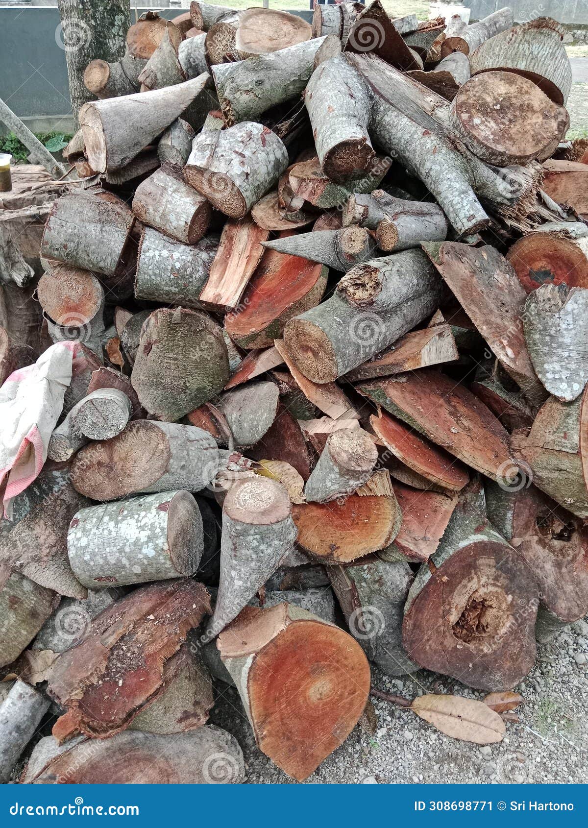 Pieces of Wood and Twigs Piled Up in Random Sizes Stock Image - Image ...