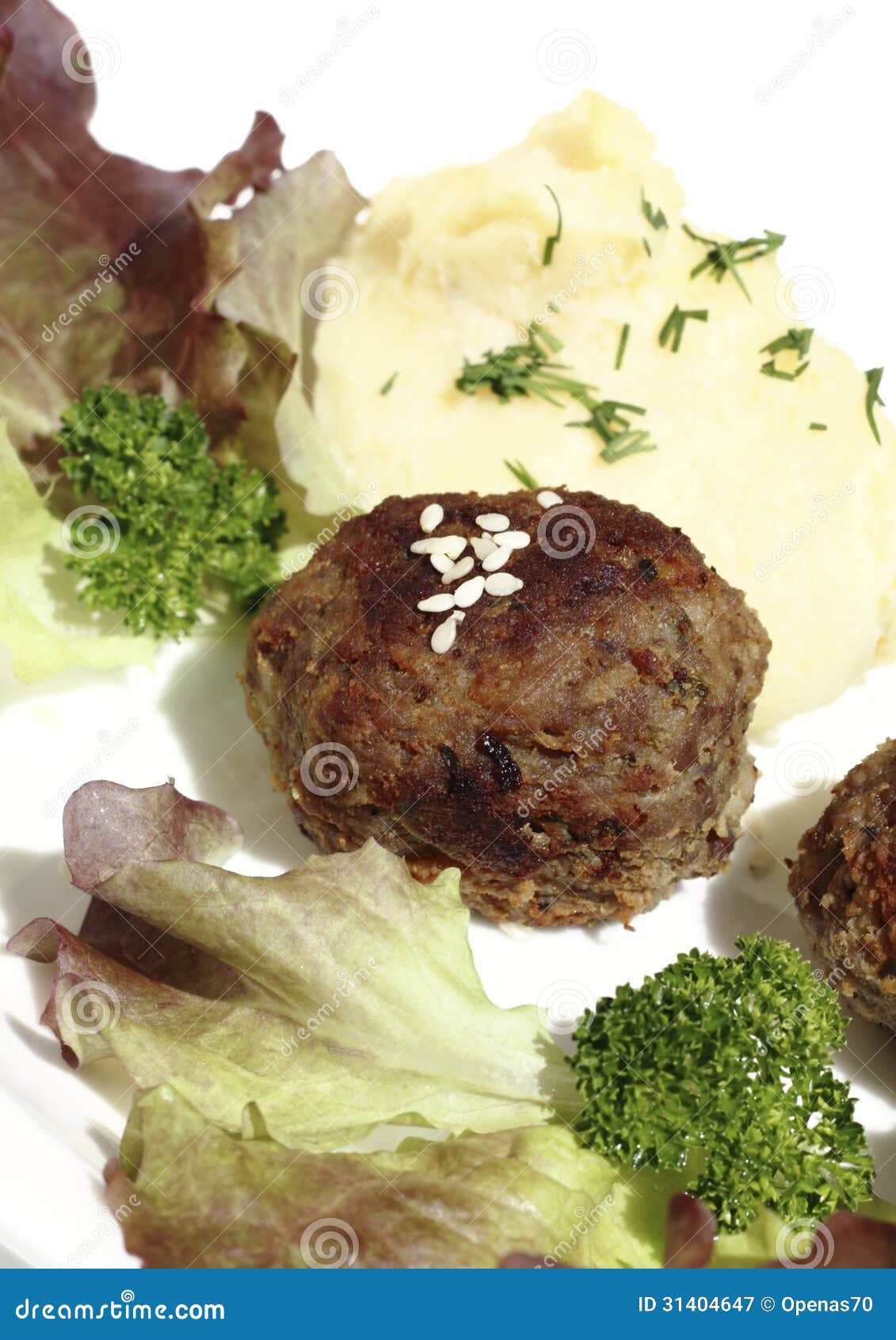 Pieczeni rissoles obraz stock. Obraz złożonej z kuchnia - 31404647