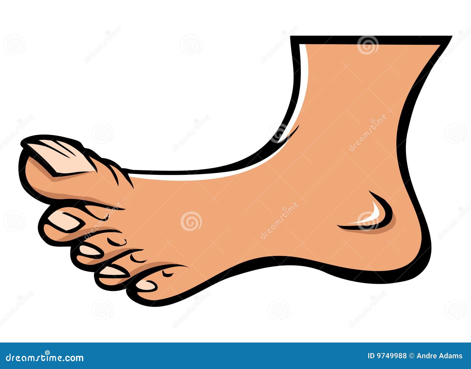 Pied humain illustration de vecteur. Illustration du humain - 9749988