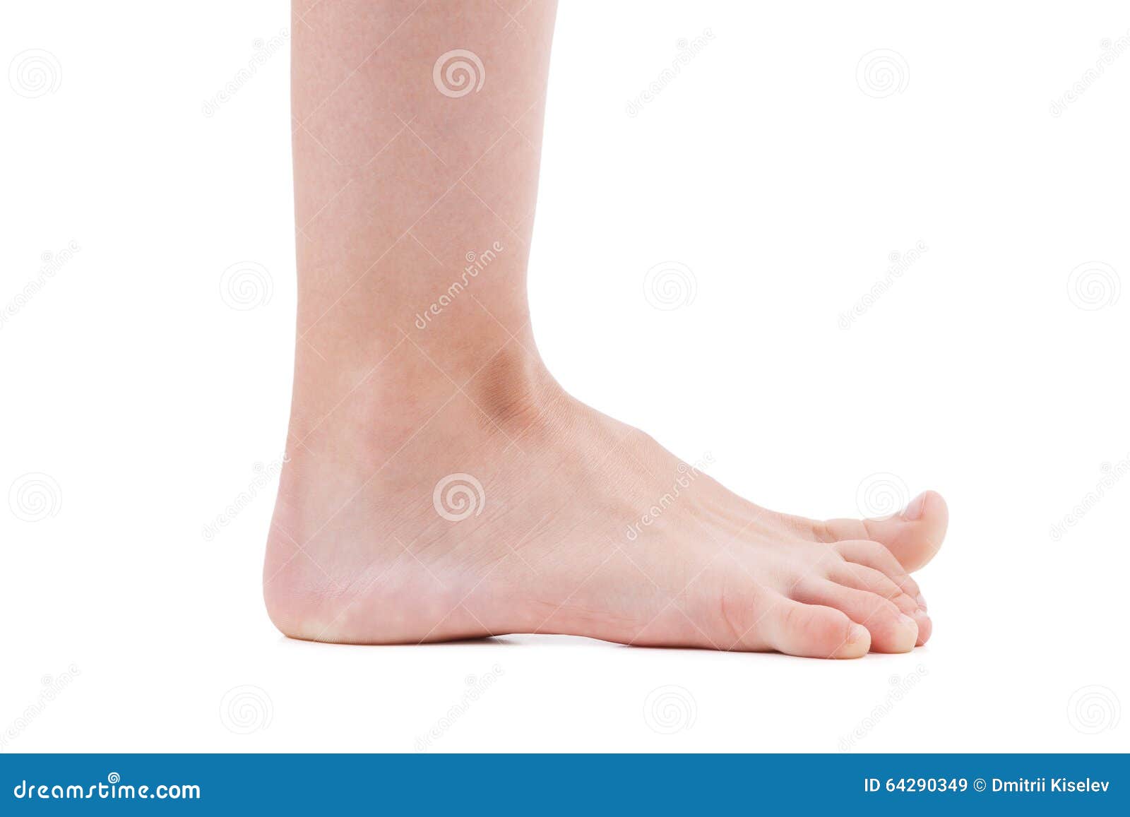 Pied humain aux pieds nus image stock. Image du splayfoot - 64290349