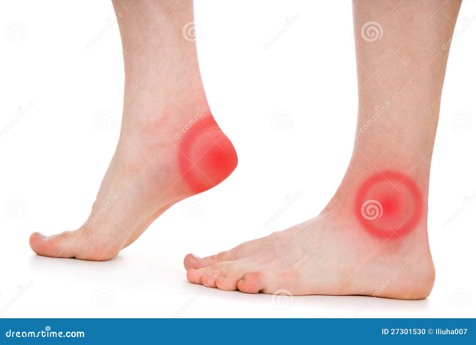 Pied Mâle, Talon, Pieds Photo stock - Image: 27301530