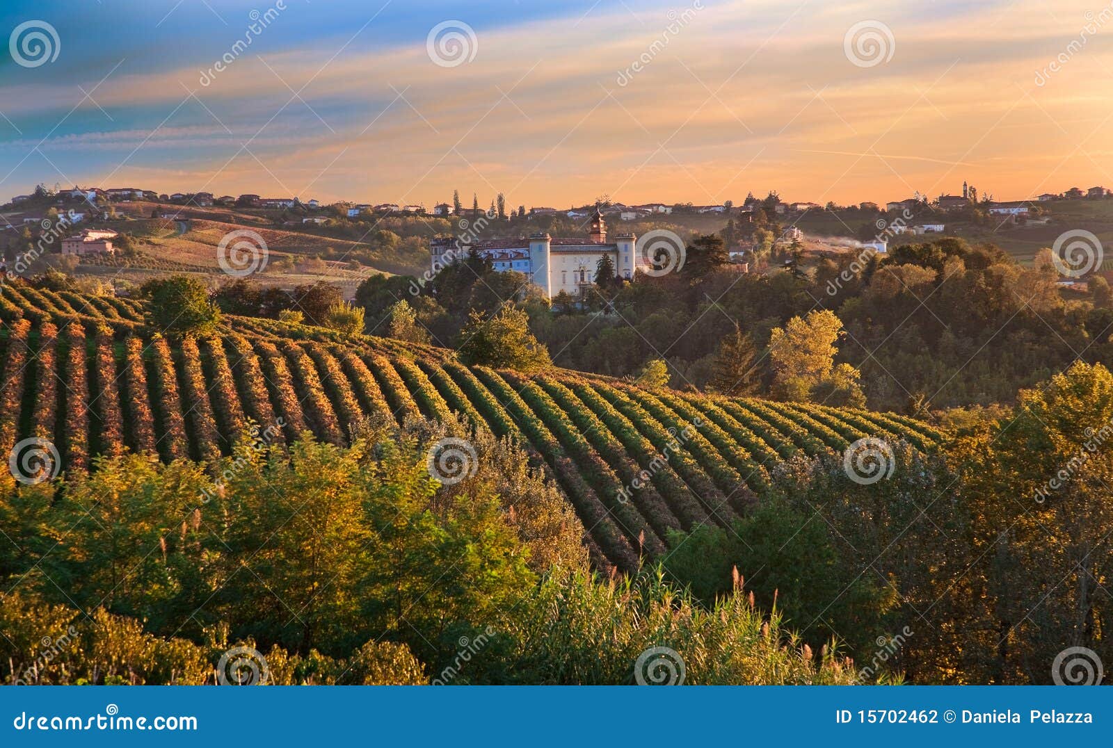 (Piedmont, Italy): Landscape Stock Photo - Image of agriculture, fall ...