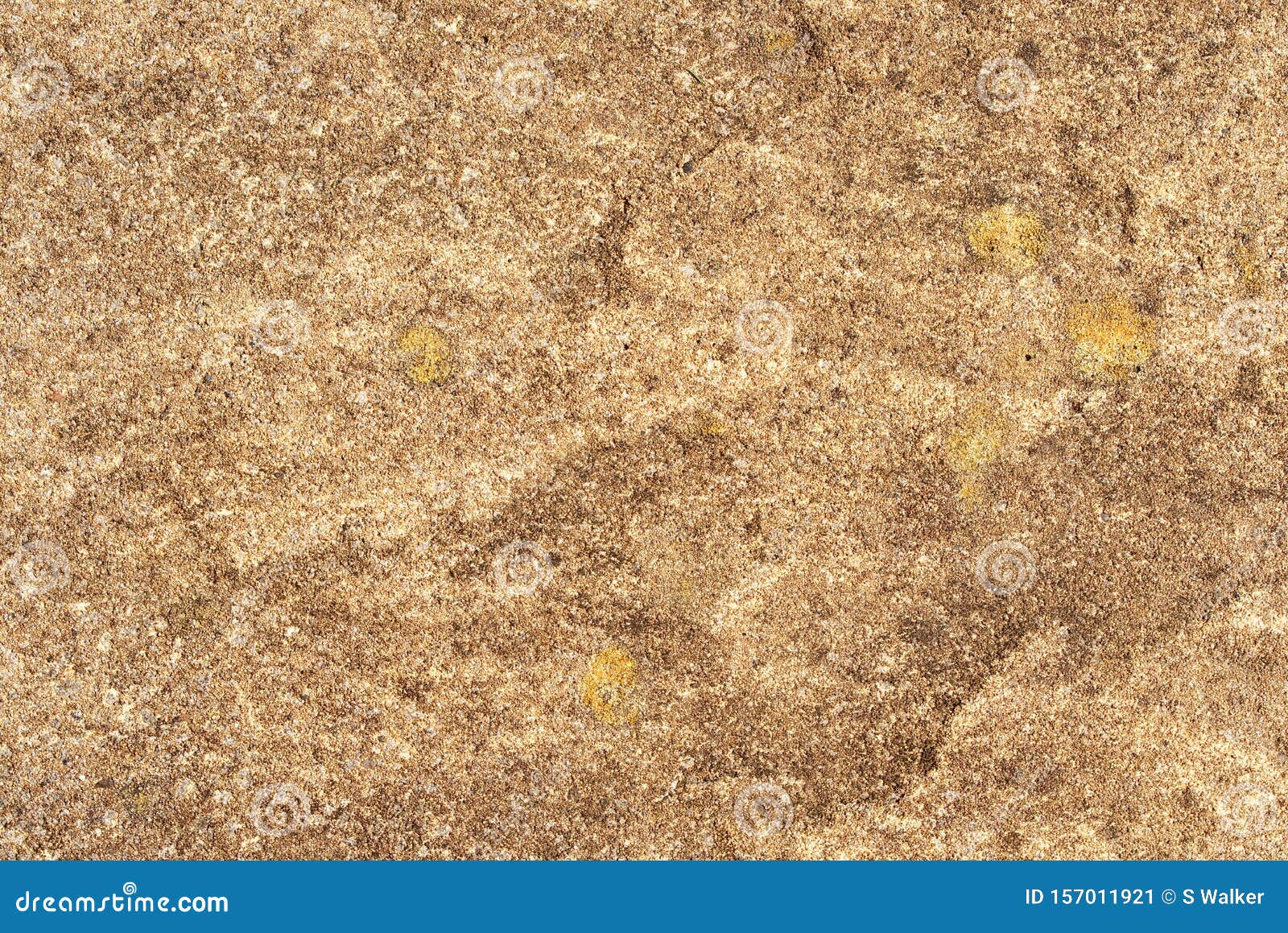 Piedra Arenisca Texturada. Antecedentes Imagen de archivo - Imagen de ...