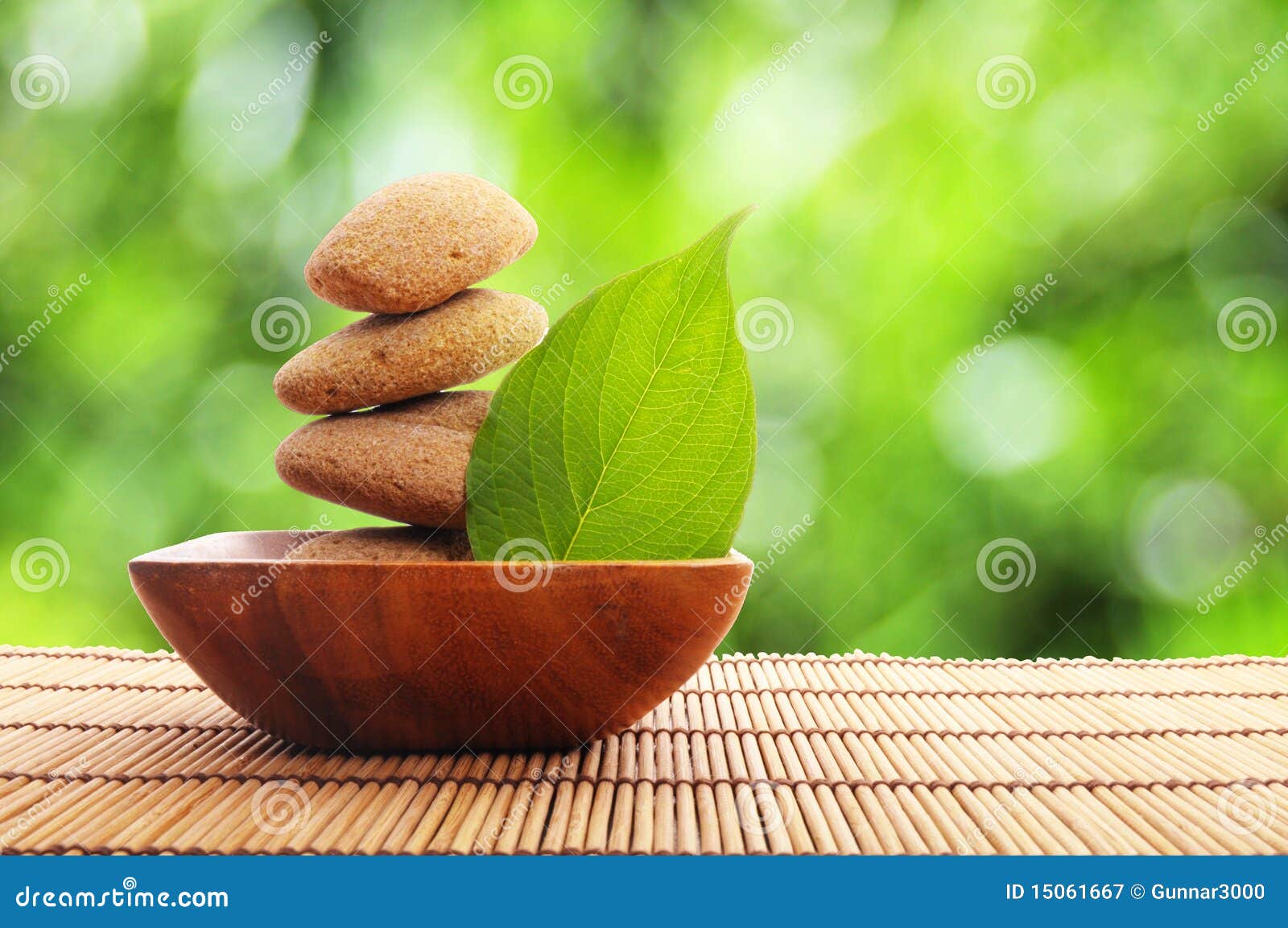 Piedra del zen con la hoja imagen de archivo. Imagen de hojas - 15061667