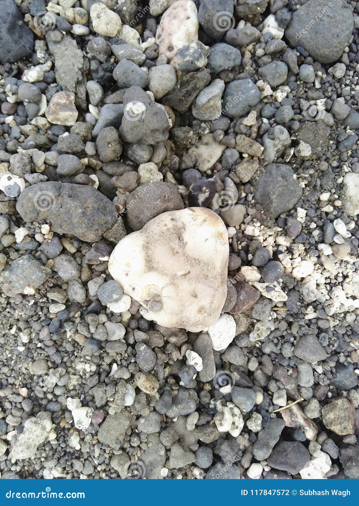 Piedras de Litel foto de archivo. Imagen de piedras - 117847572