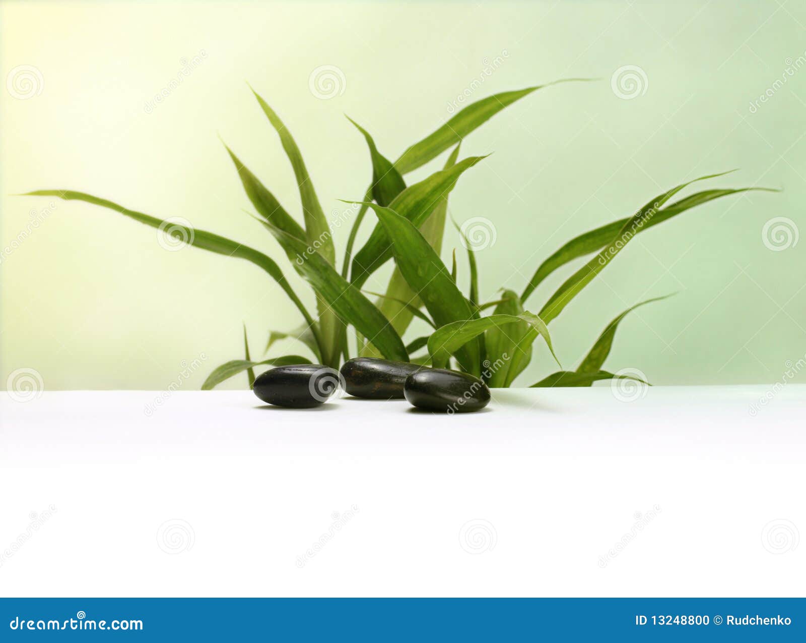 Piedras Del Zen Con La Hoja Foto de archivo - Imagen de elemento ...