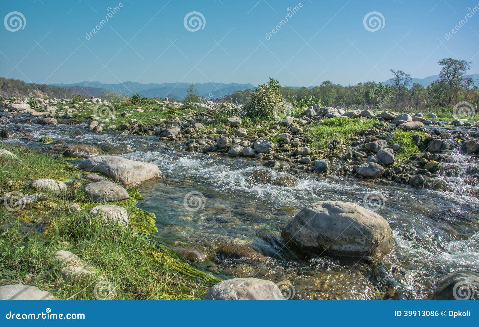 Piedras en el río foto de archivo. Imagen de paso, claro - 39913086