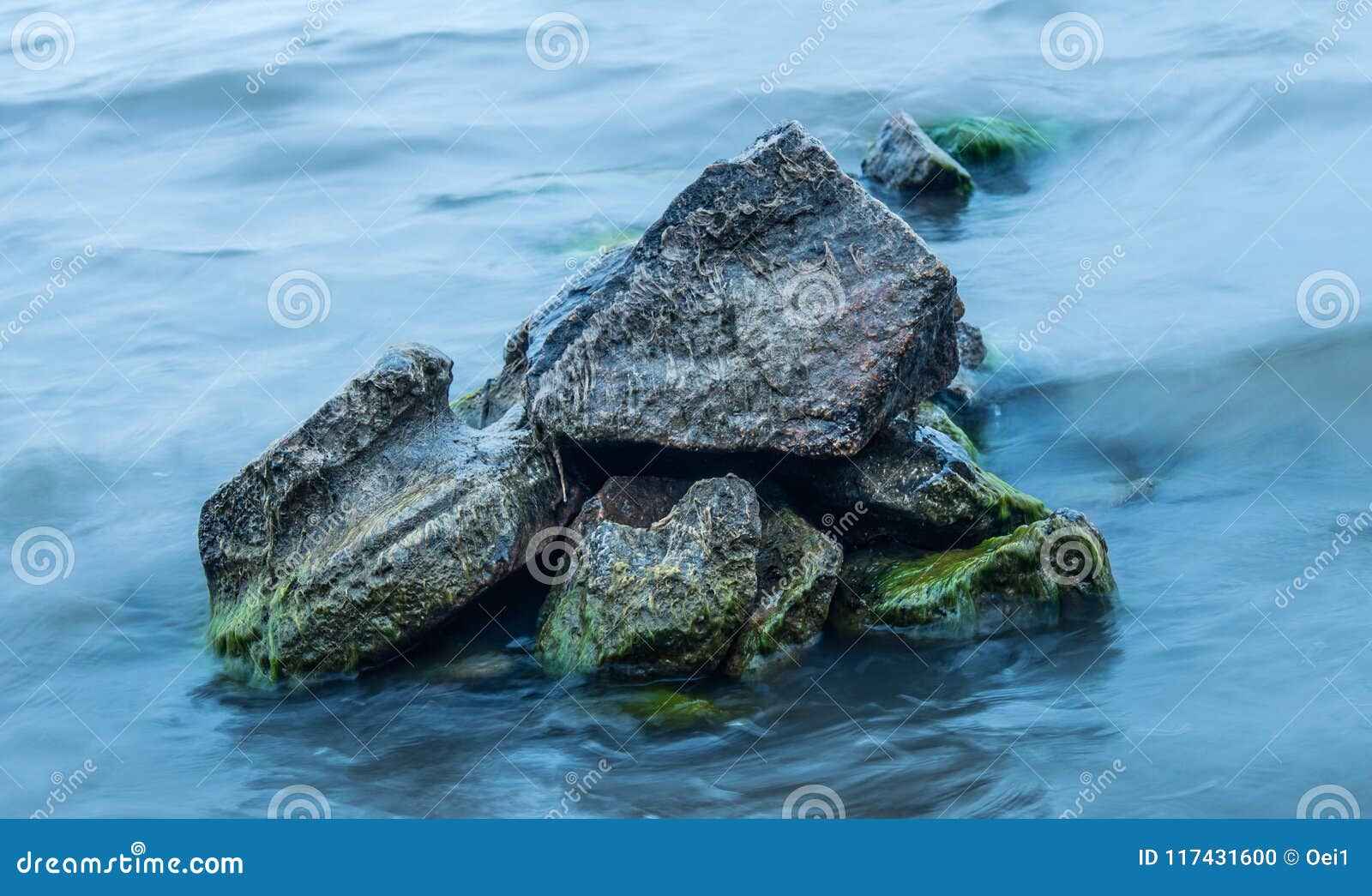 Piedras Mojadas, Cubiertas Con Fango Verde Foto de archivo - Imagen de ...