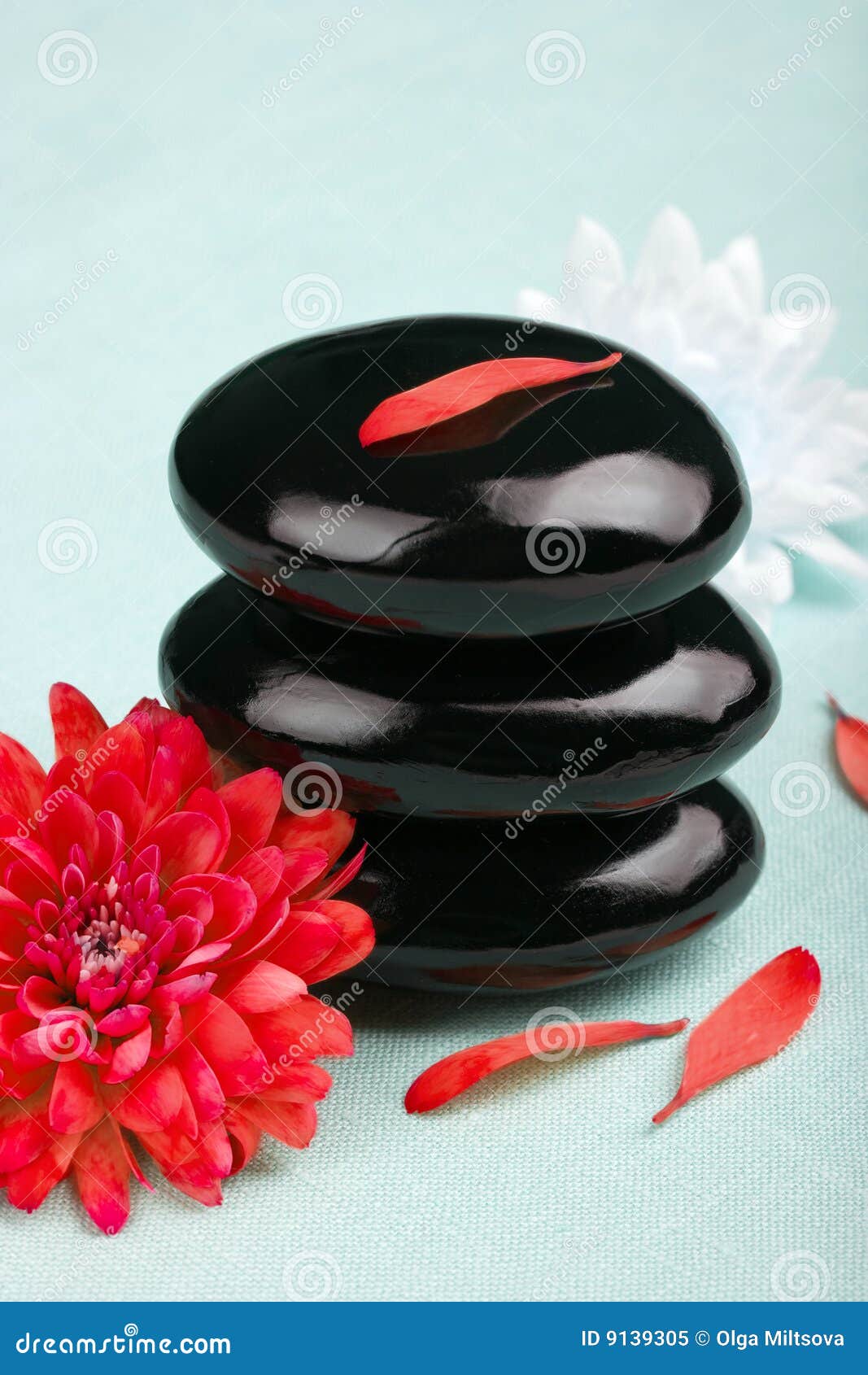 Piedras y flores del zen imagen de archivo. Imagen de crisantemo - 9139305