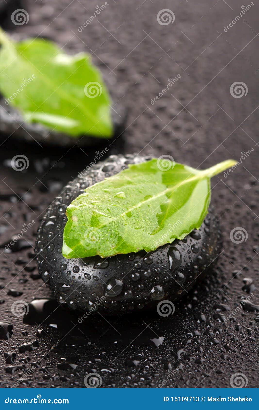 Piedras y hojas del zen imagen de archivo. Imagen de fresco - 15109713