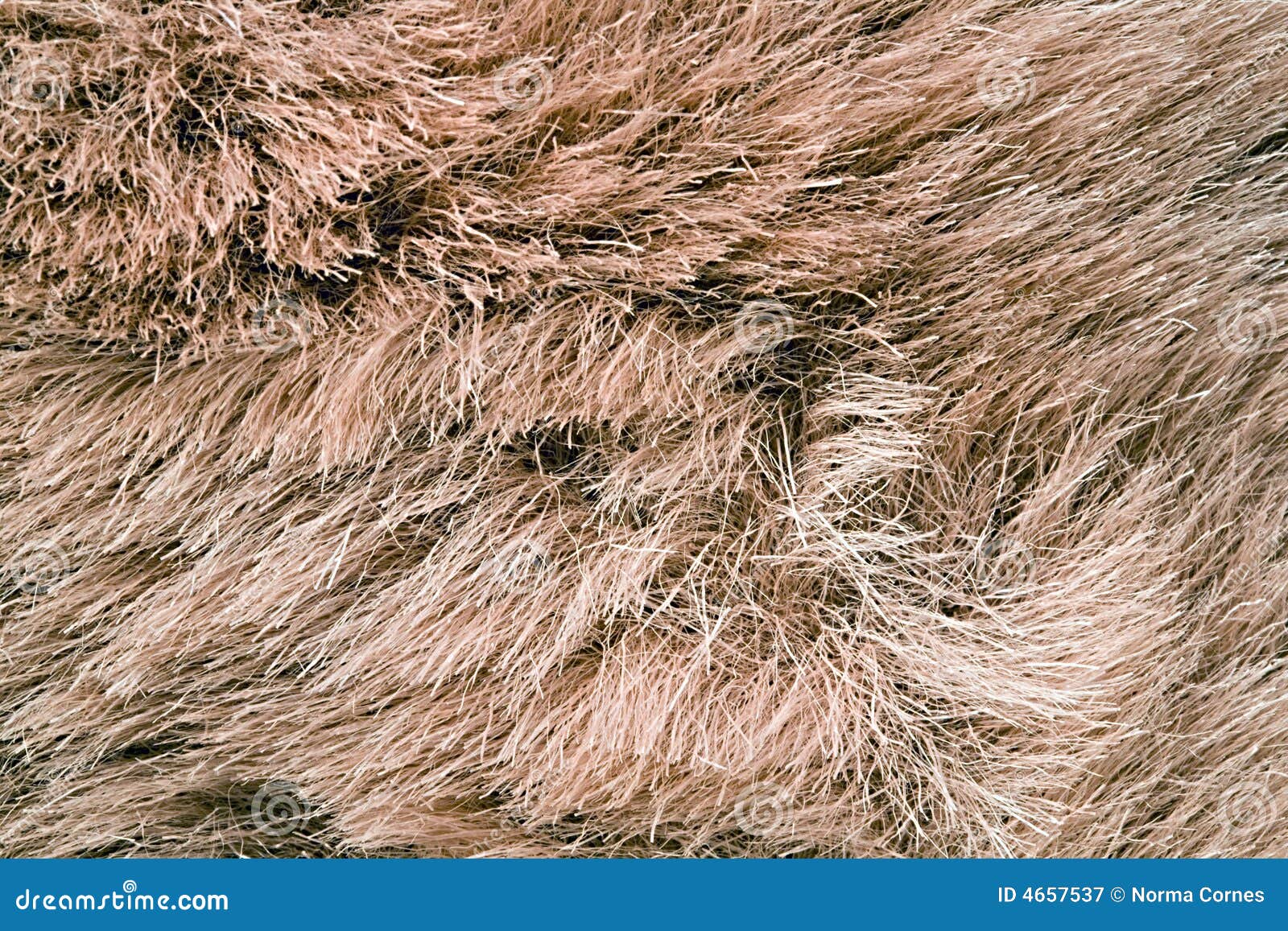 Piel áspera imagen de archivo. Imagen de dorado, macro - 4657537