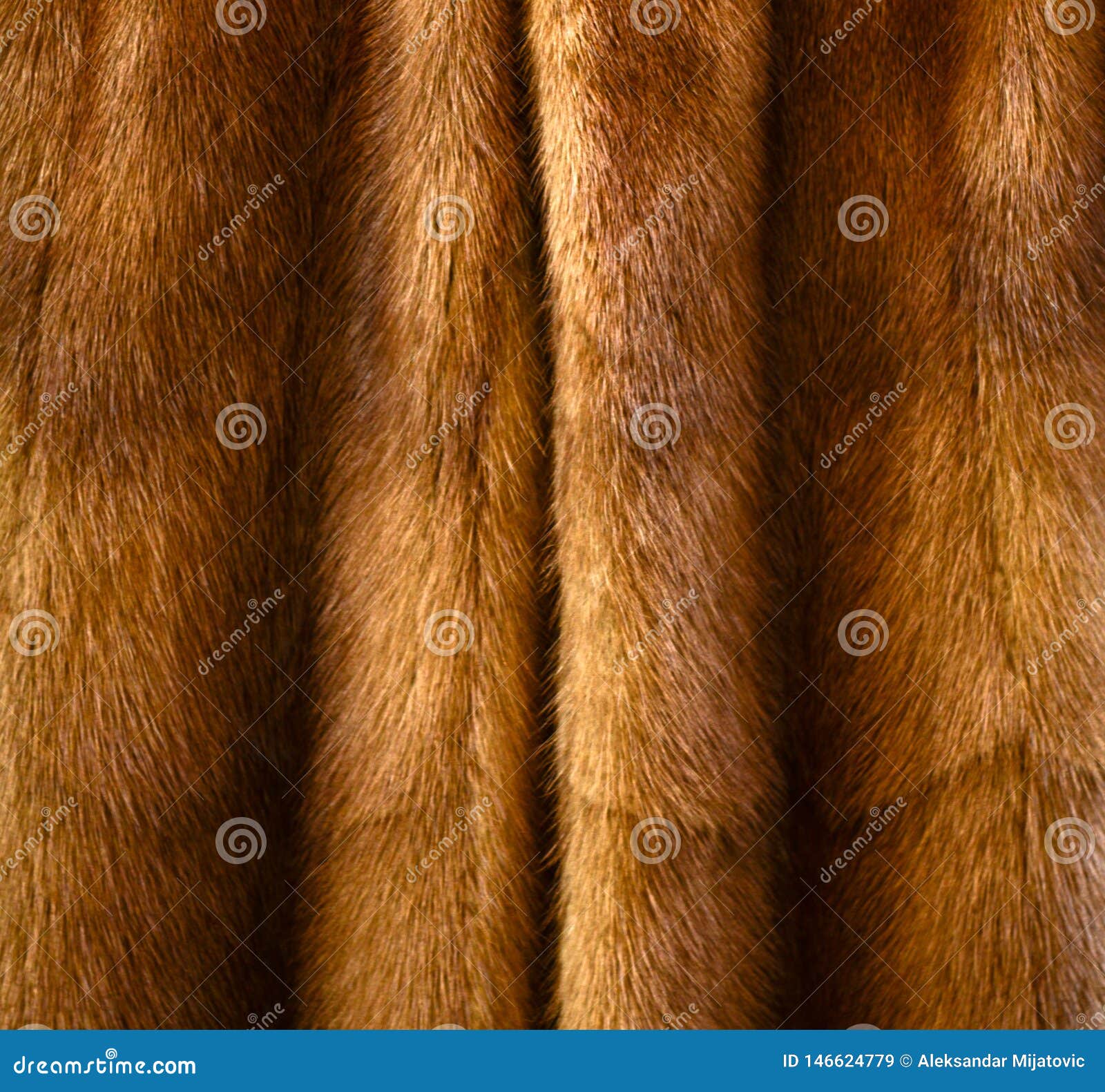 Piel animal imagen de archivo. Imagen de arena, capa - 146624779