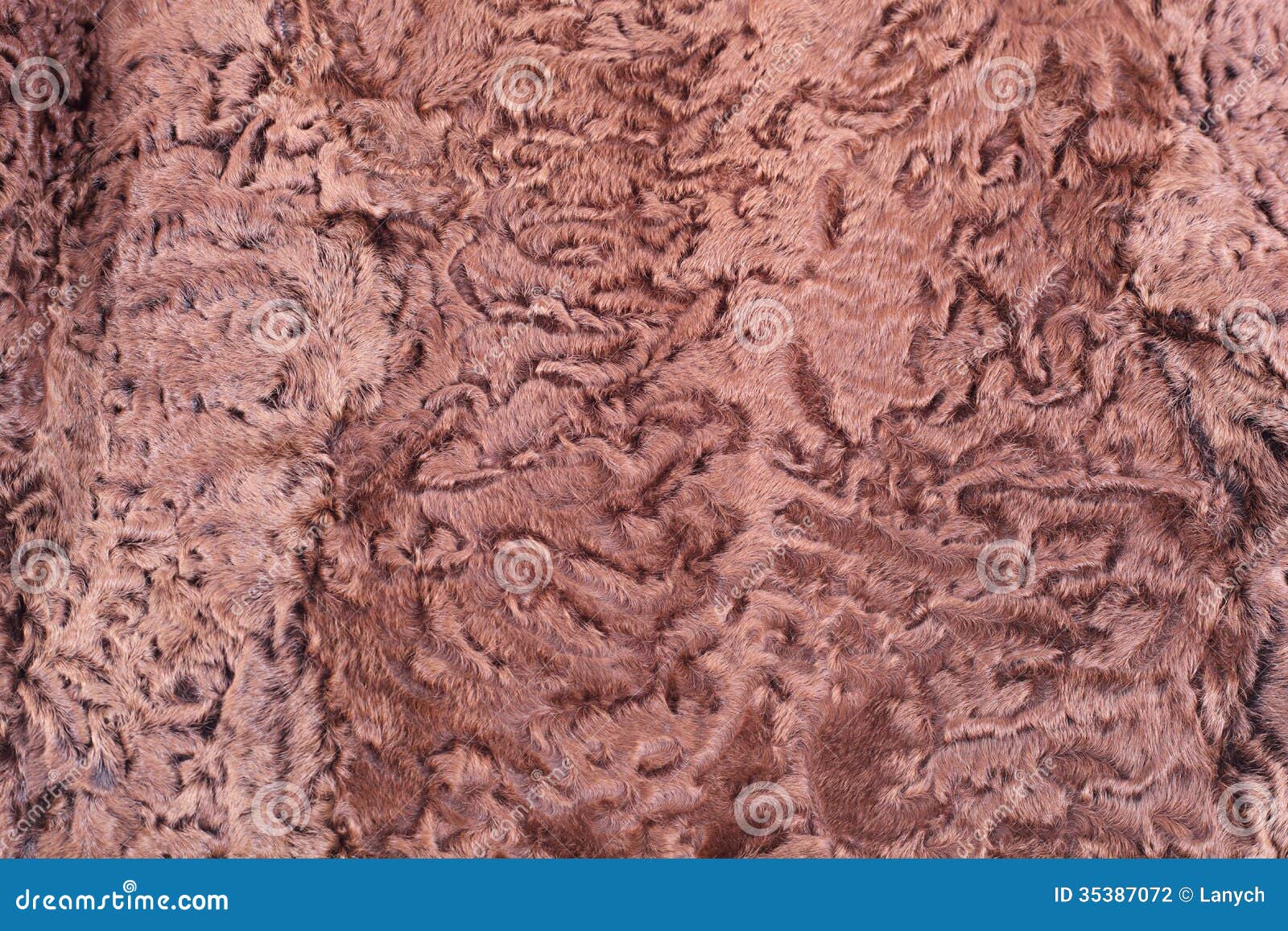 Piel de Astrakhan foto de archivo. Imagen de material - 35387072