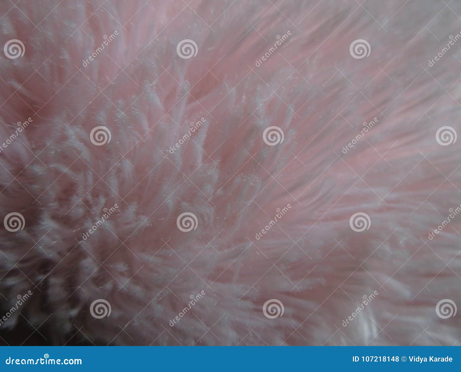 Piel rosada foto de archivo. Imagen de agradable, amor - 107218148