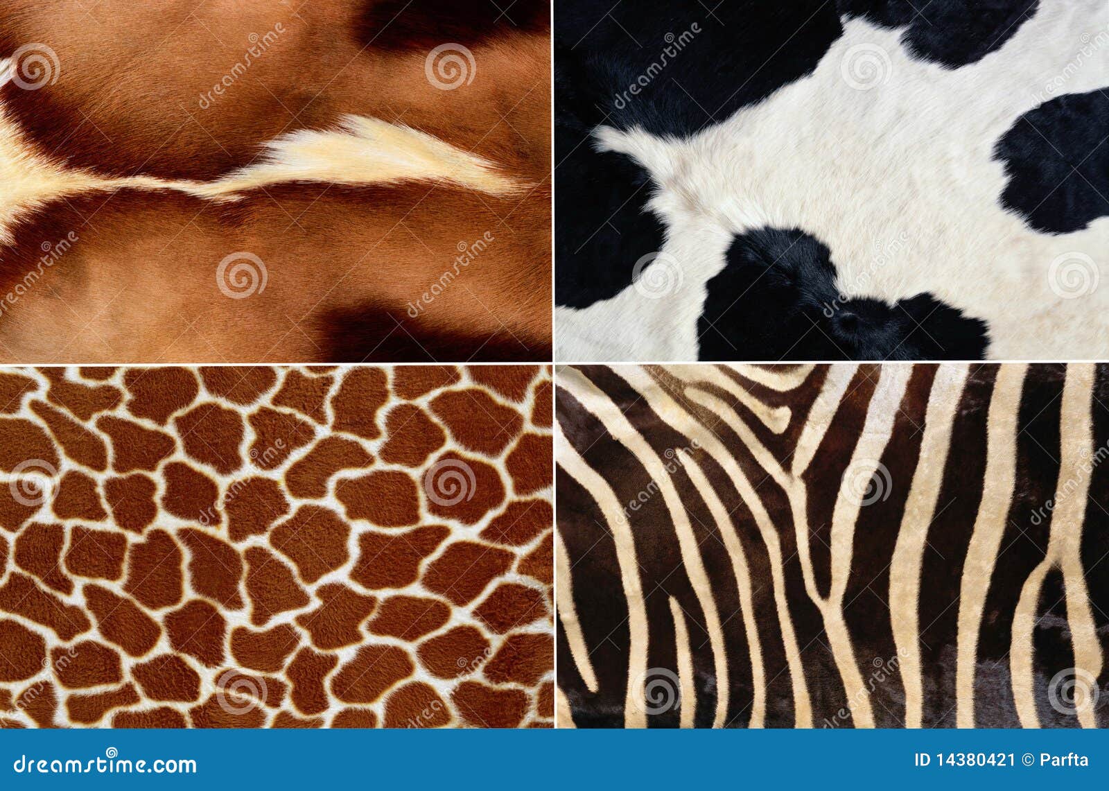 Pieles animales como fondo imagen de archivo. Imagen de nature - 14380421