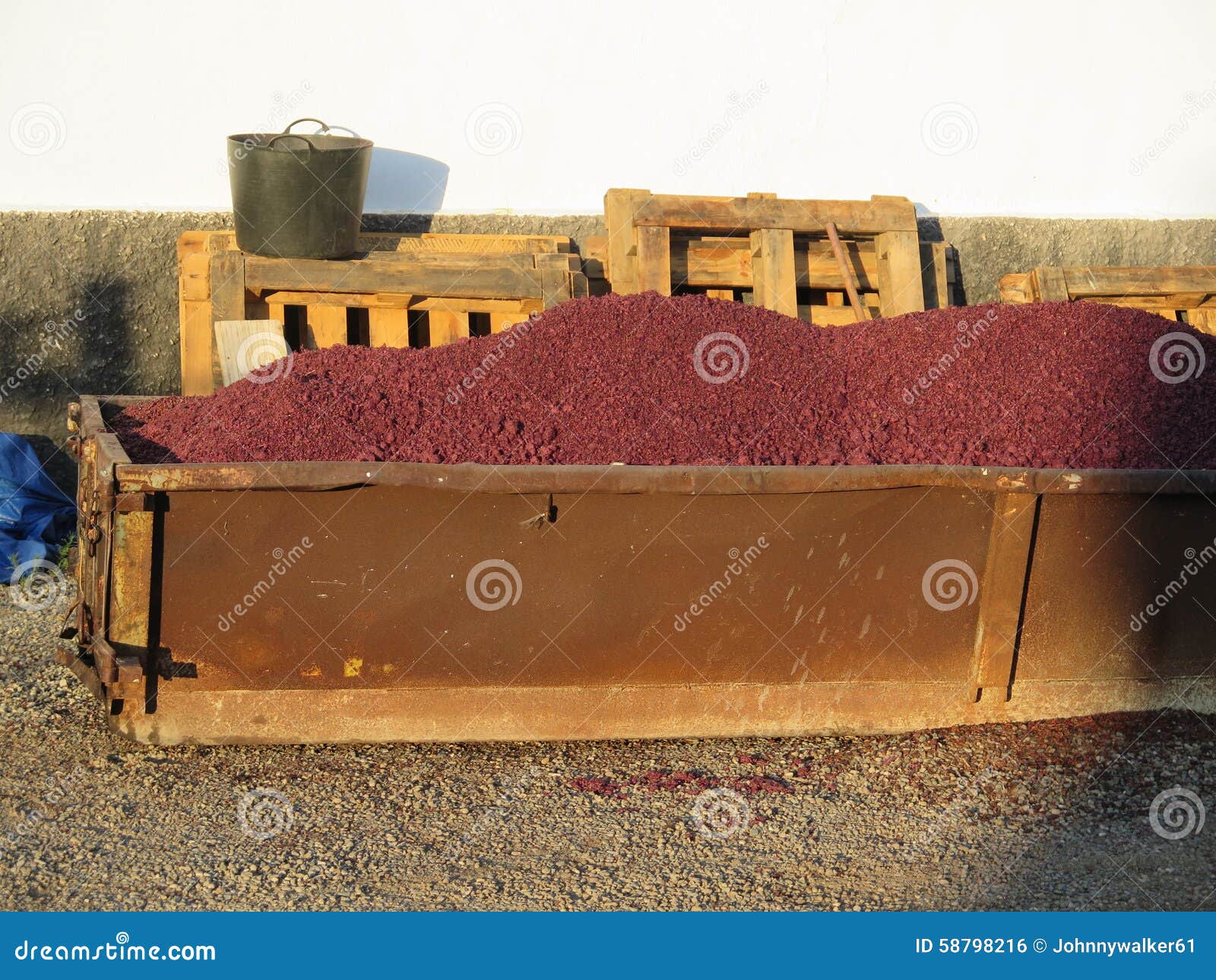 Pieles de la uva foto de archivo. Imagen de machacamiento - 58798216