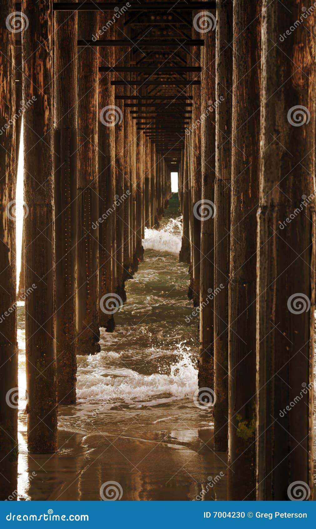 Pier columns stock photo. Image of ocean, surf, brown - 7004230