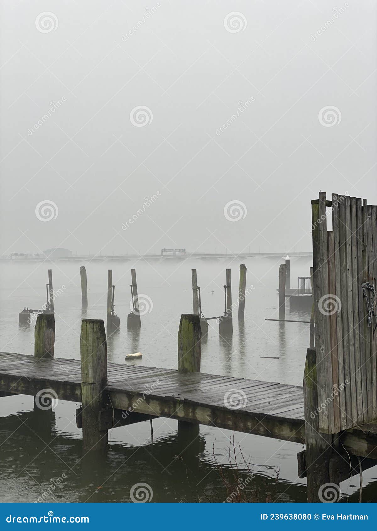 Pier through the Fog with Bridge in the Background Stock Photo - Image ...