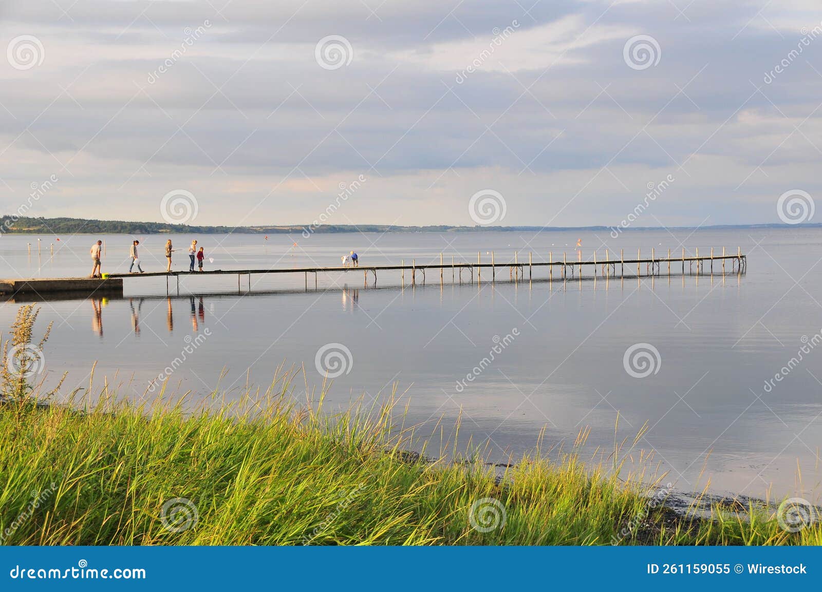 Pier in a lake in Denmark stock image. Image of ocean - 261159055
