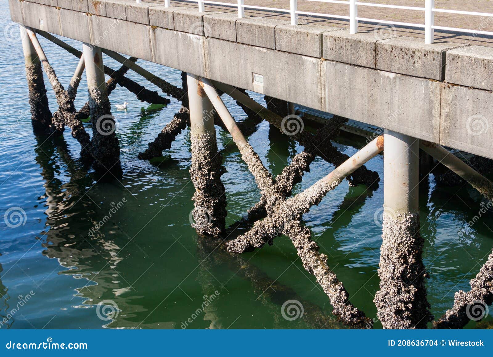 Pier with Old Rusty Concrete Pillars by the Sea Stock Photo - Image of ...