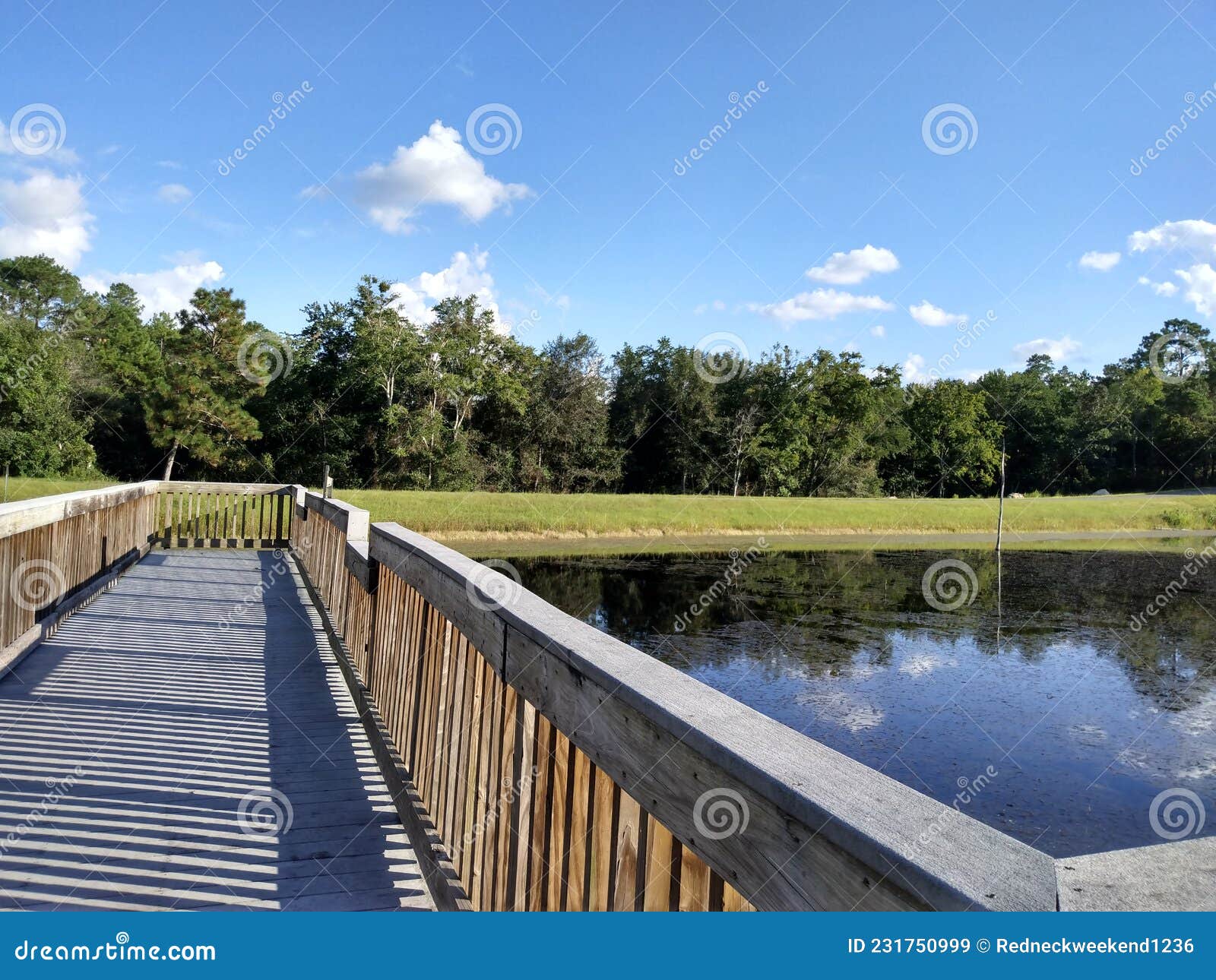 Pier Over the Pool of Water Stock Image - Image of reservoir ...