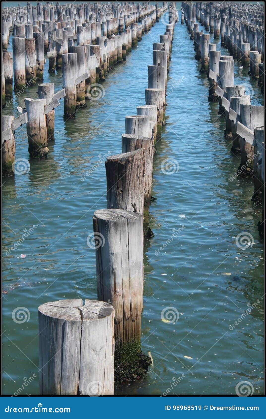 Pier editorial stock image. Image of poles, nature, ocean - 98968519