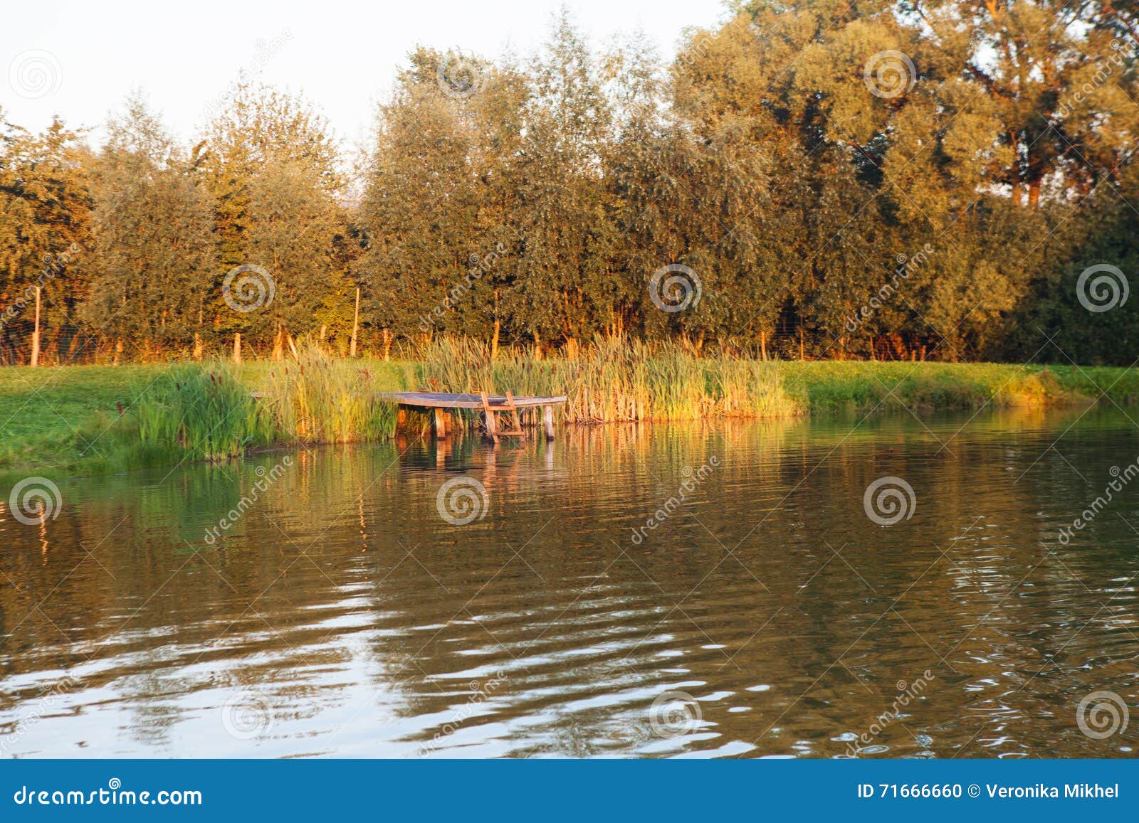 Pier on the Pond in Evening Stock Photo - Image of pond, autumn: 71666660