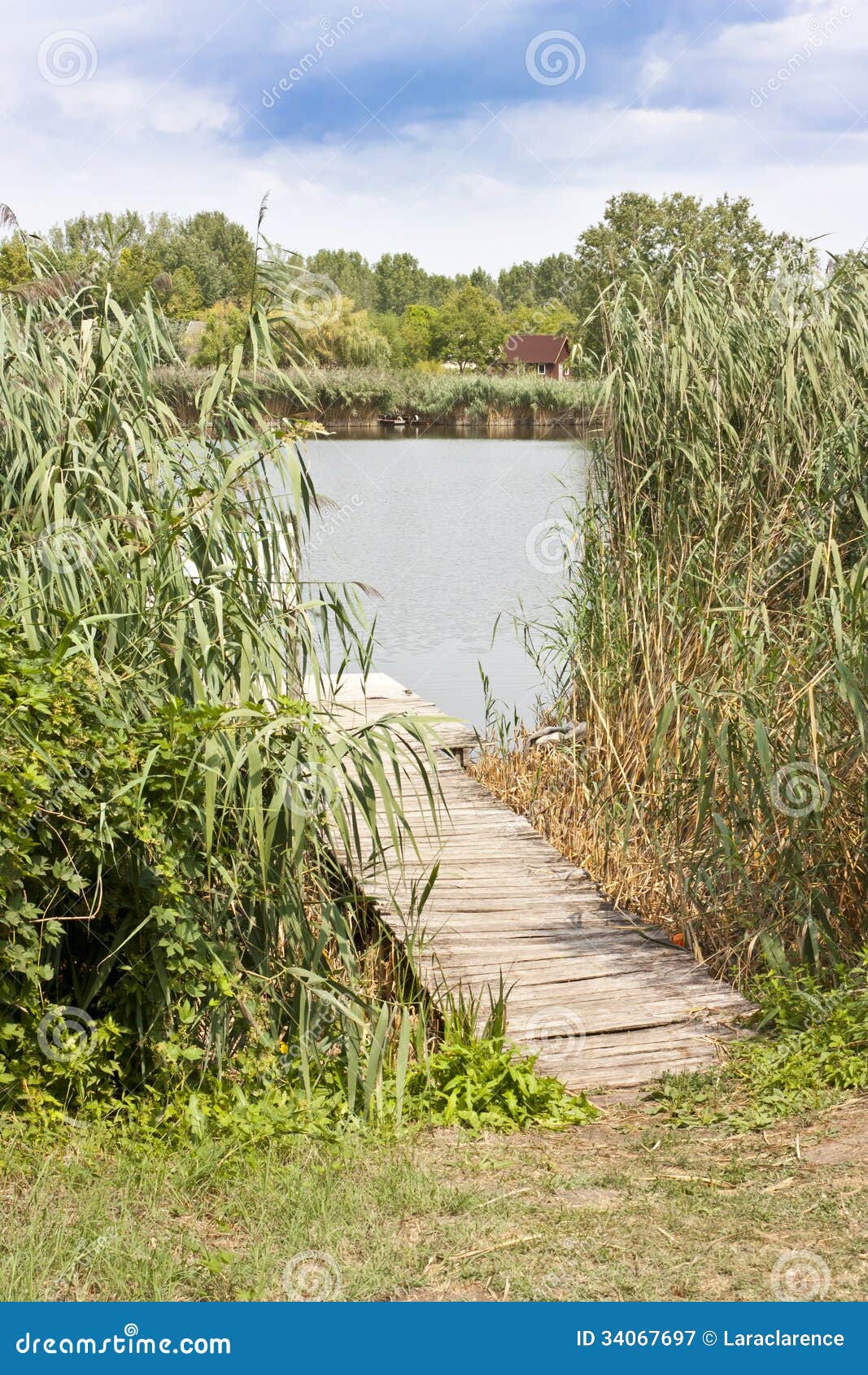 Pier in reeds stock image. Image of gray, conservation - 34067697