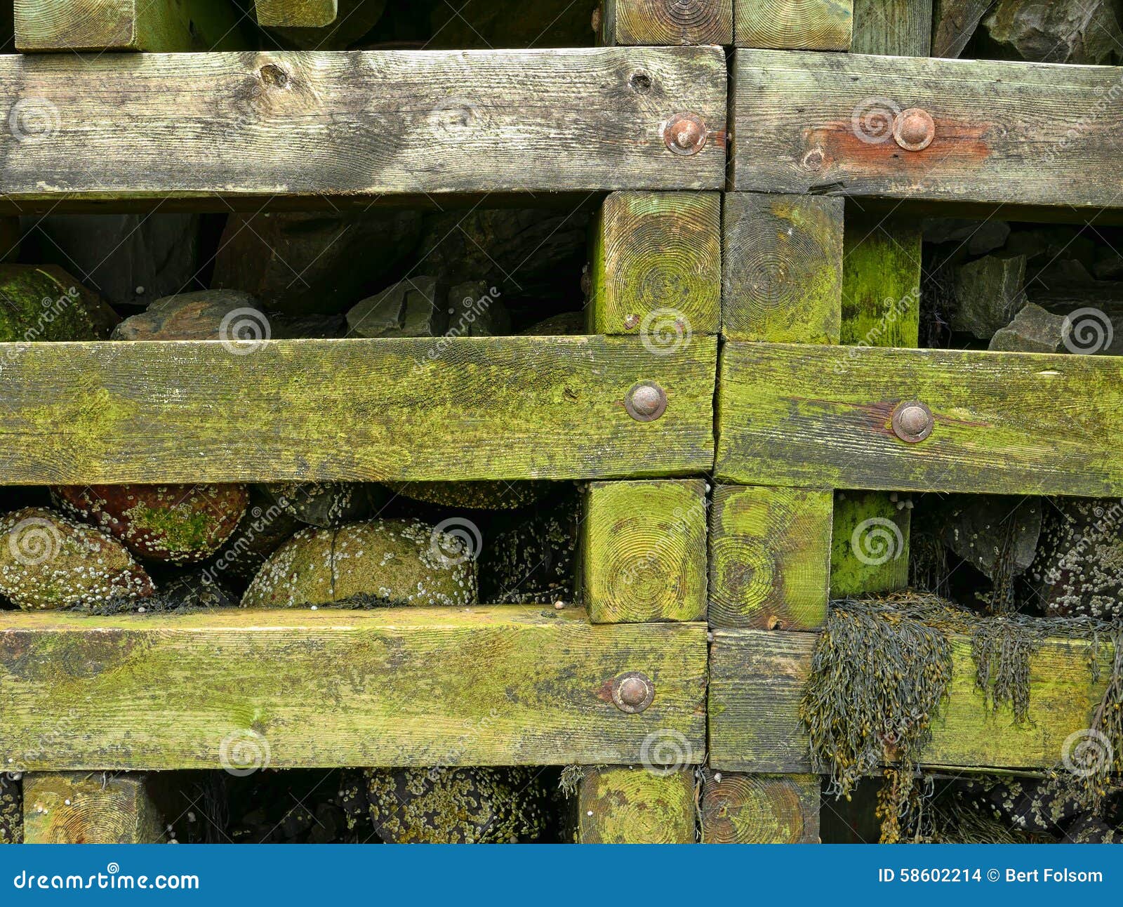 Pier Retaining Wall at Low Tide Stock Photo - Image of tidal, post ...